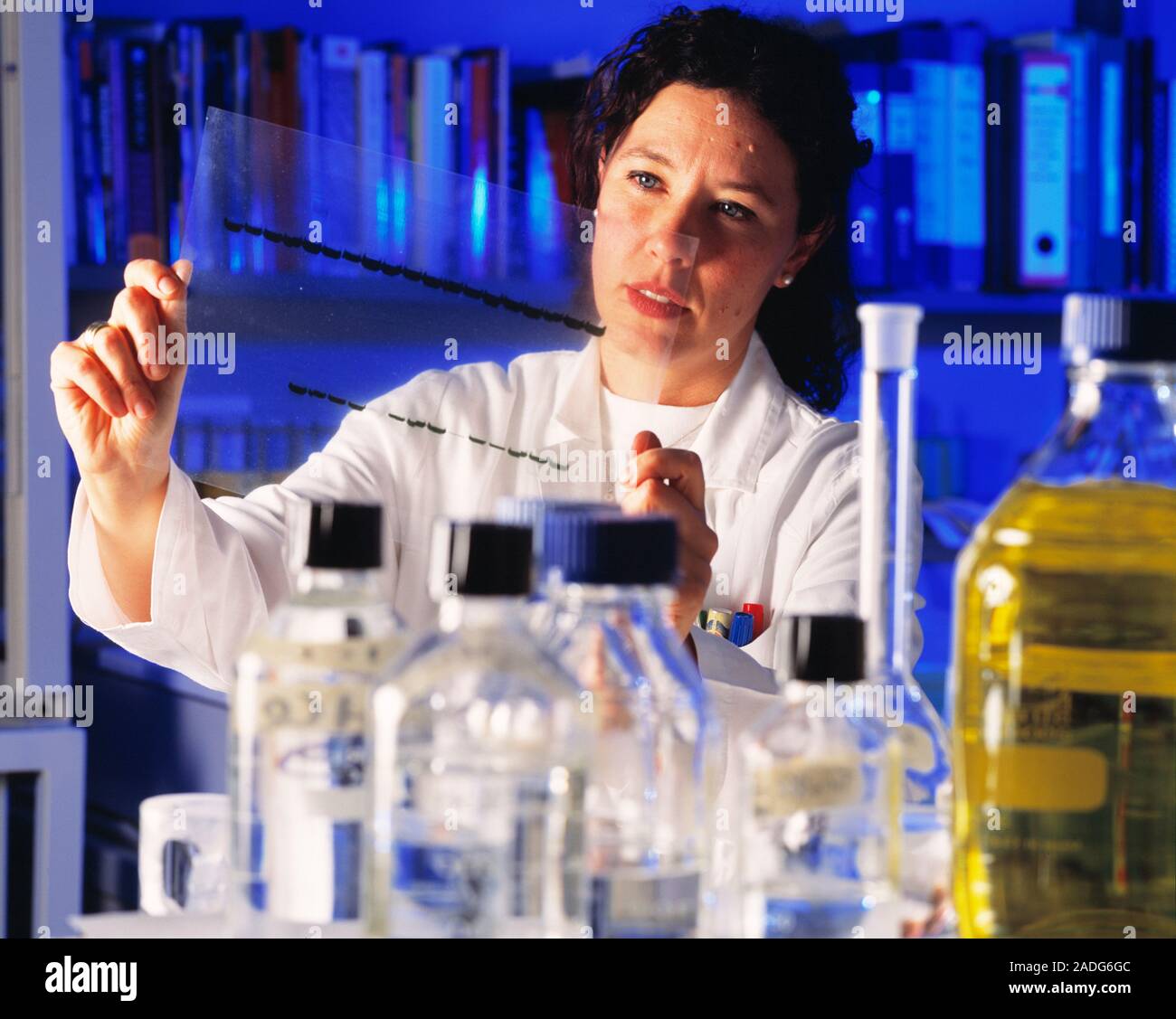 DNA researcher holding an autoradiogram. This autoradiogram is a ...