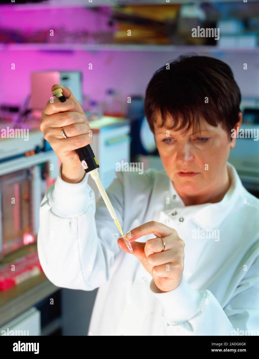 DNA research. Technician pipetting samples of deoxyribonucleic acid ...