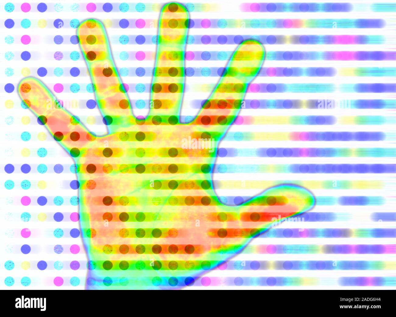 Genetic identity. Conceptual computer artwork of a hand and a DNA ... Genetic identity. Conceptual computer artwork of a hand and a DNA ...