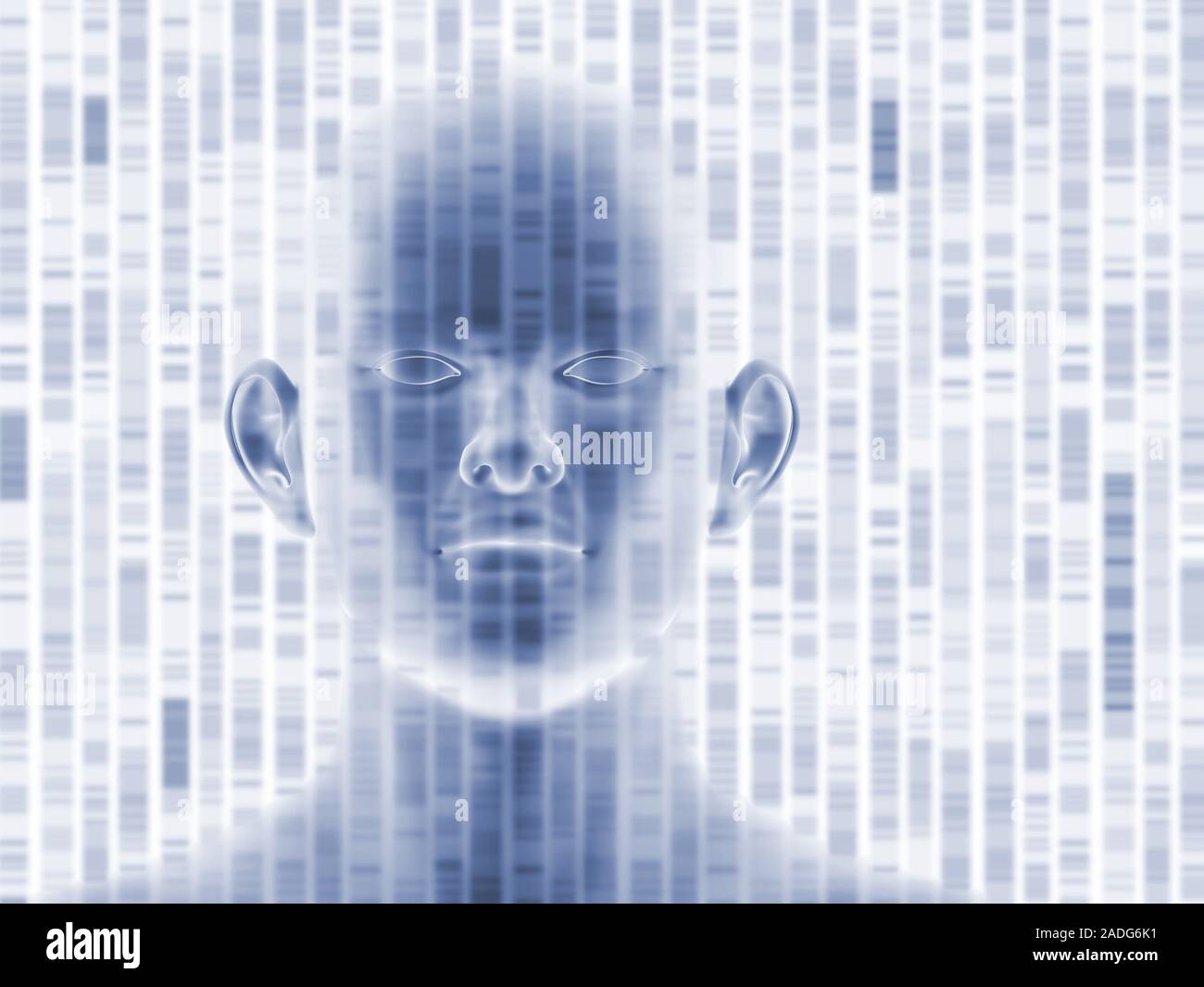 DNA autoradiogram. Computer artwork of a DNA (deoxyribonucleic acid ...