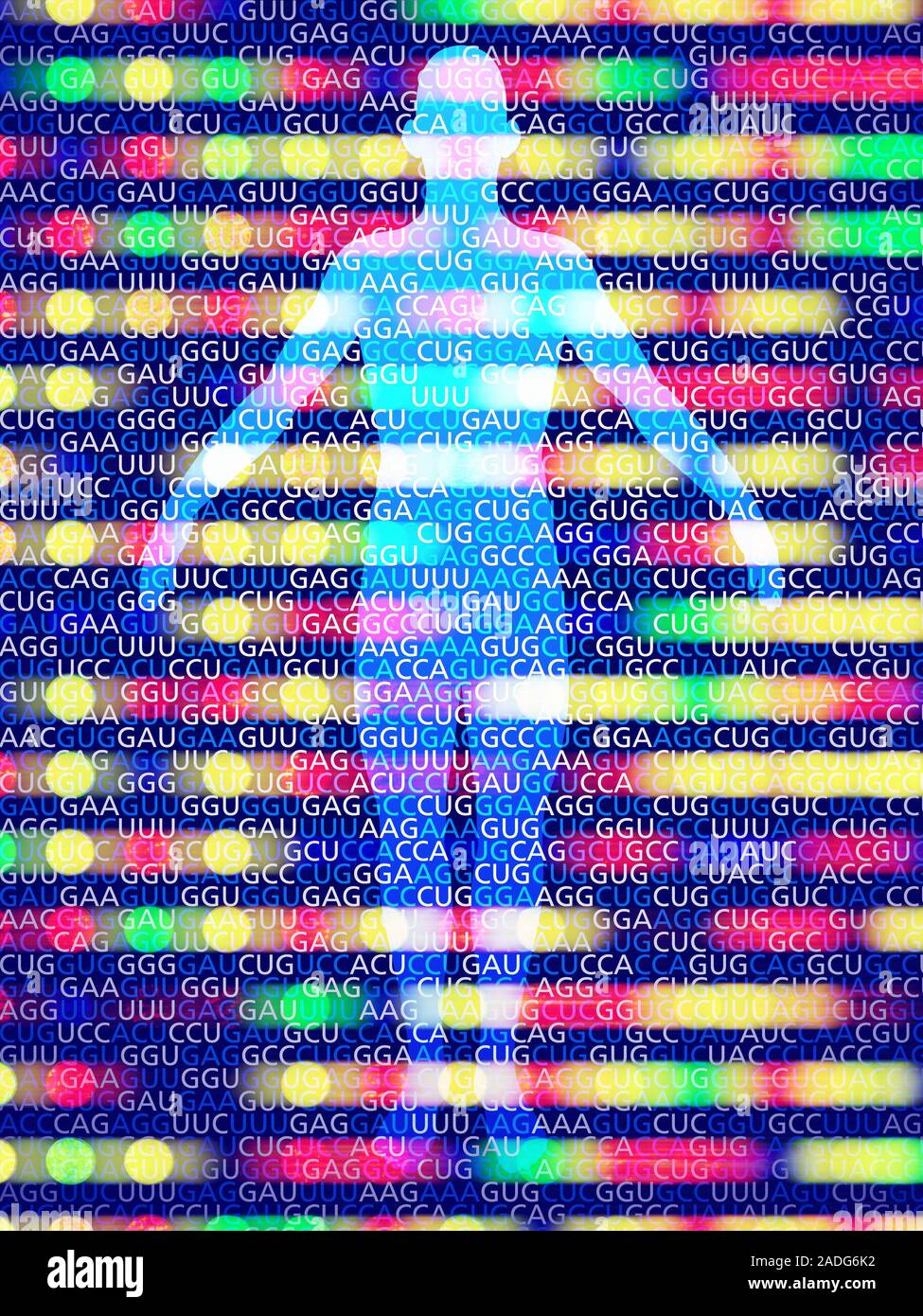 Genetic research. Computer artwork showing a human figure, letters ...