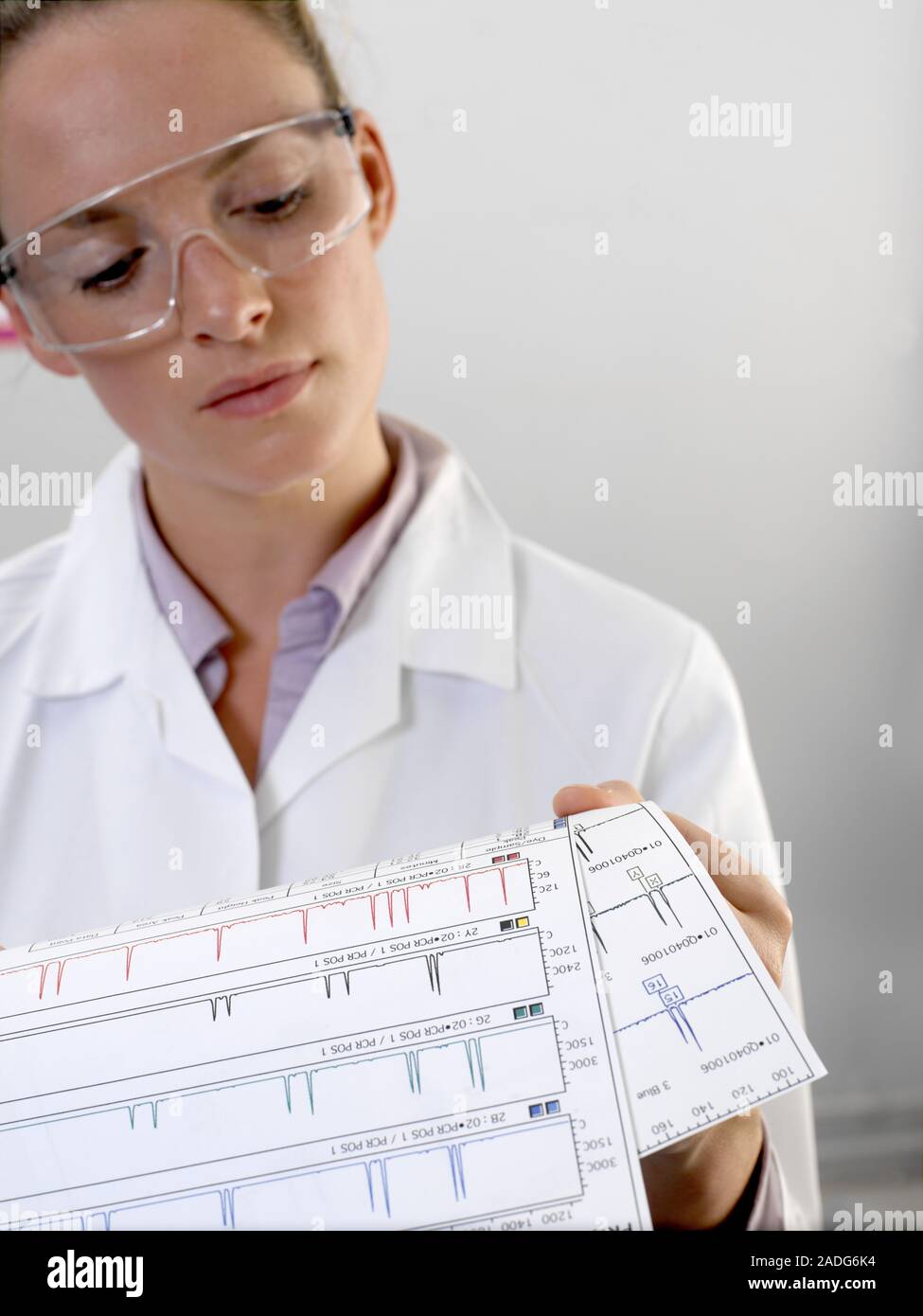 Geneticist examining the results of a polymerase chain reaction (PCR ...