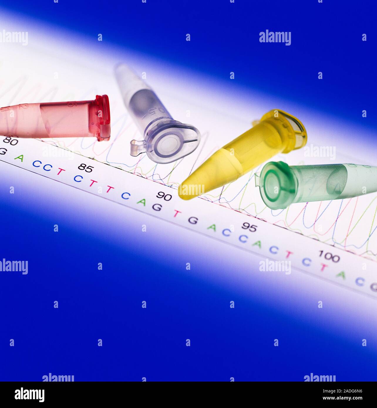 DNA analysis. Eppendorf tubes containing samples of DNA ...