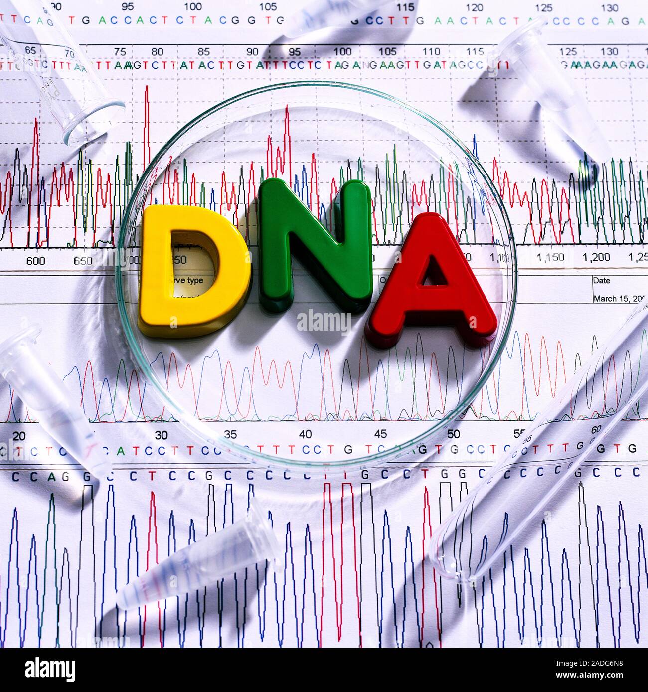 DNA analysis. Petri dish with the letters DNA, test tubes and eppendorf ...