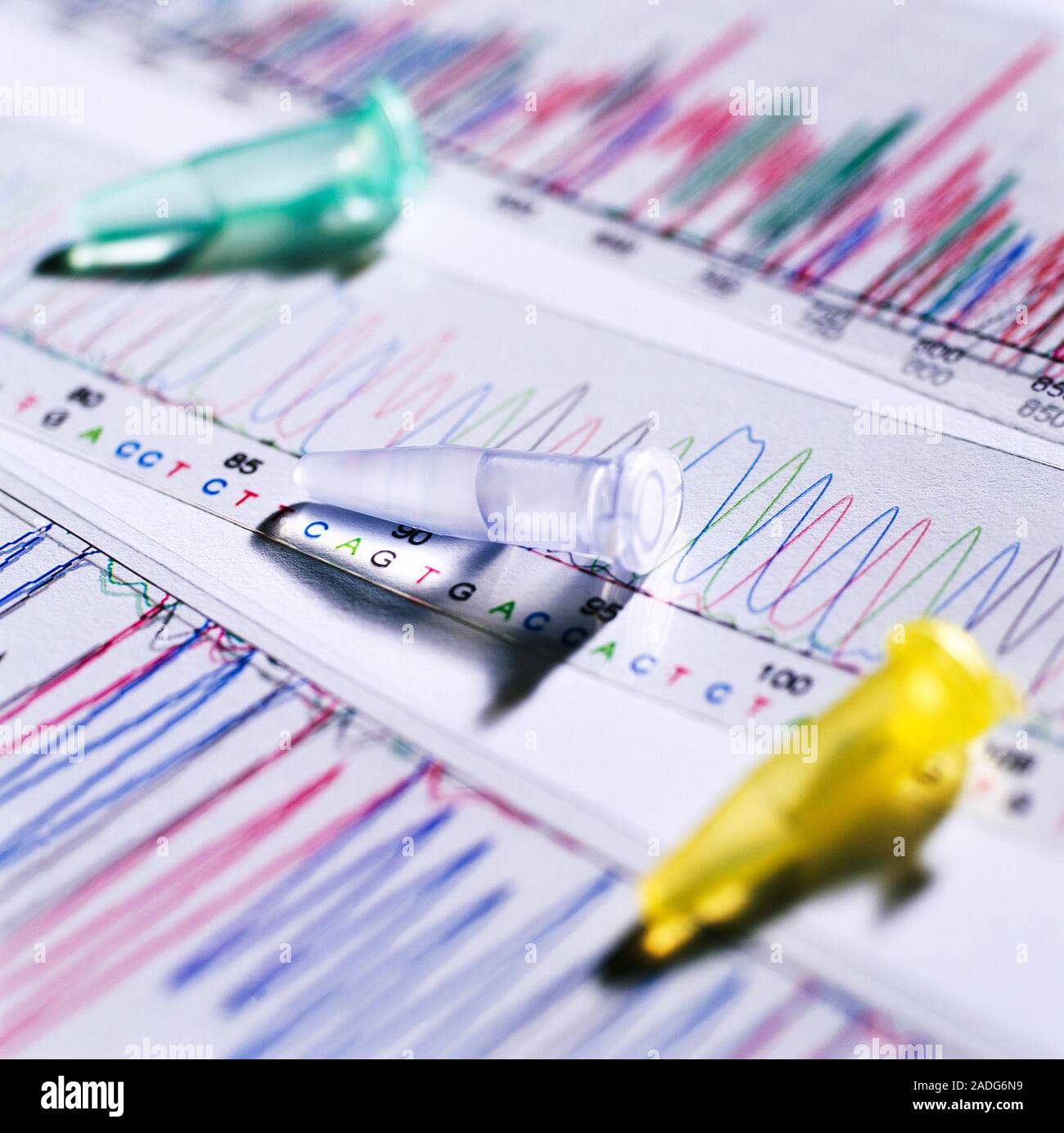 DNA analysis. Eppendorf tubes containing samples of DNA ...
