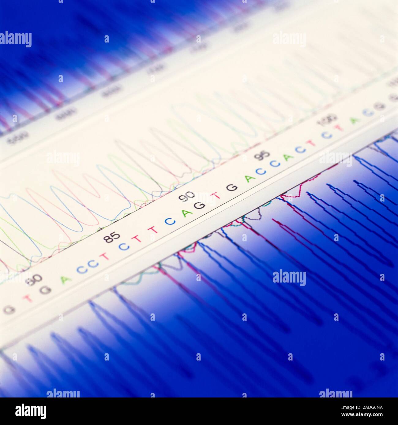 DNA analysis. Graphs showing the results of DNA (deoxyribonucleic acid ...