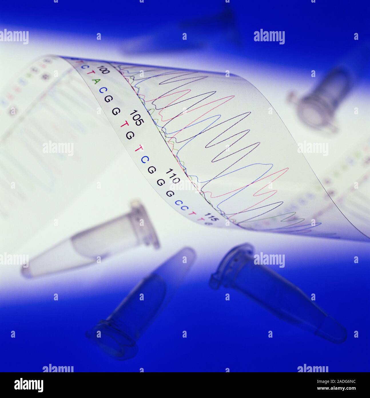 DNA analysis. Eppendorf tubes containing samples of DNA ...