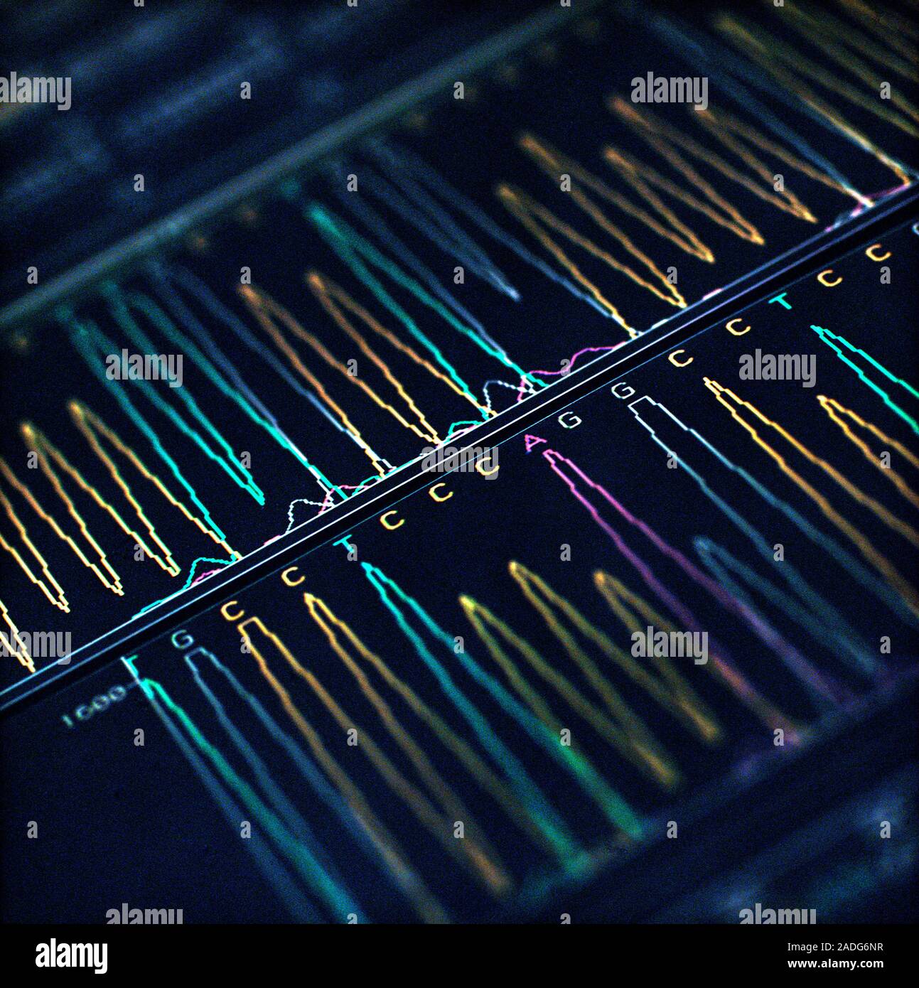 DNA analysis, negative image. Graphs showing the results of DNA ...
