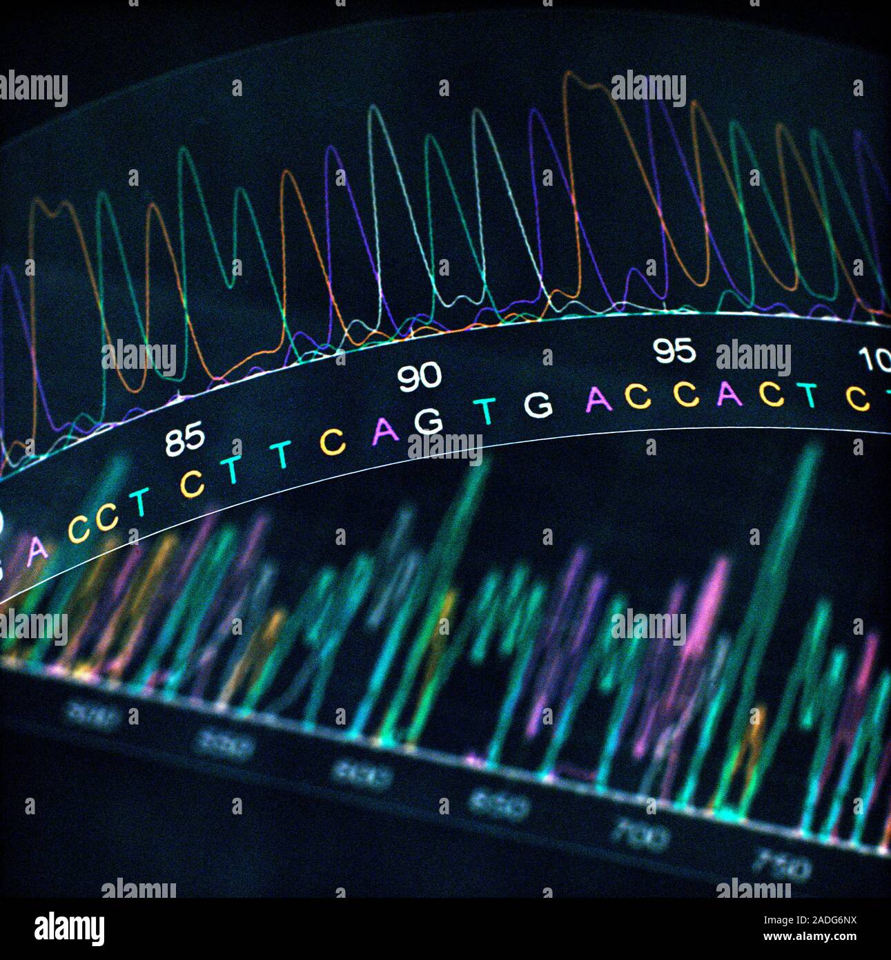 DNA analysis, negative image. Graphs showing the results of DNA ...