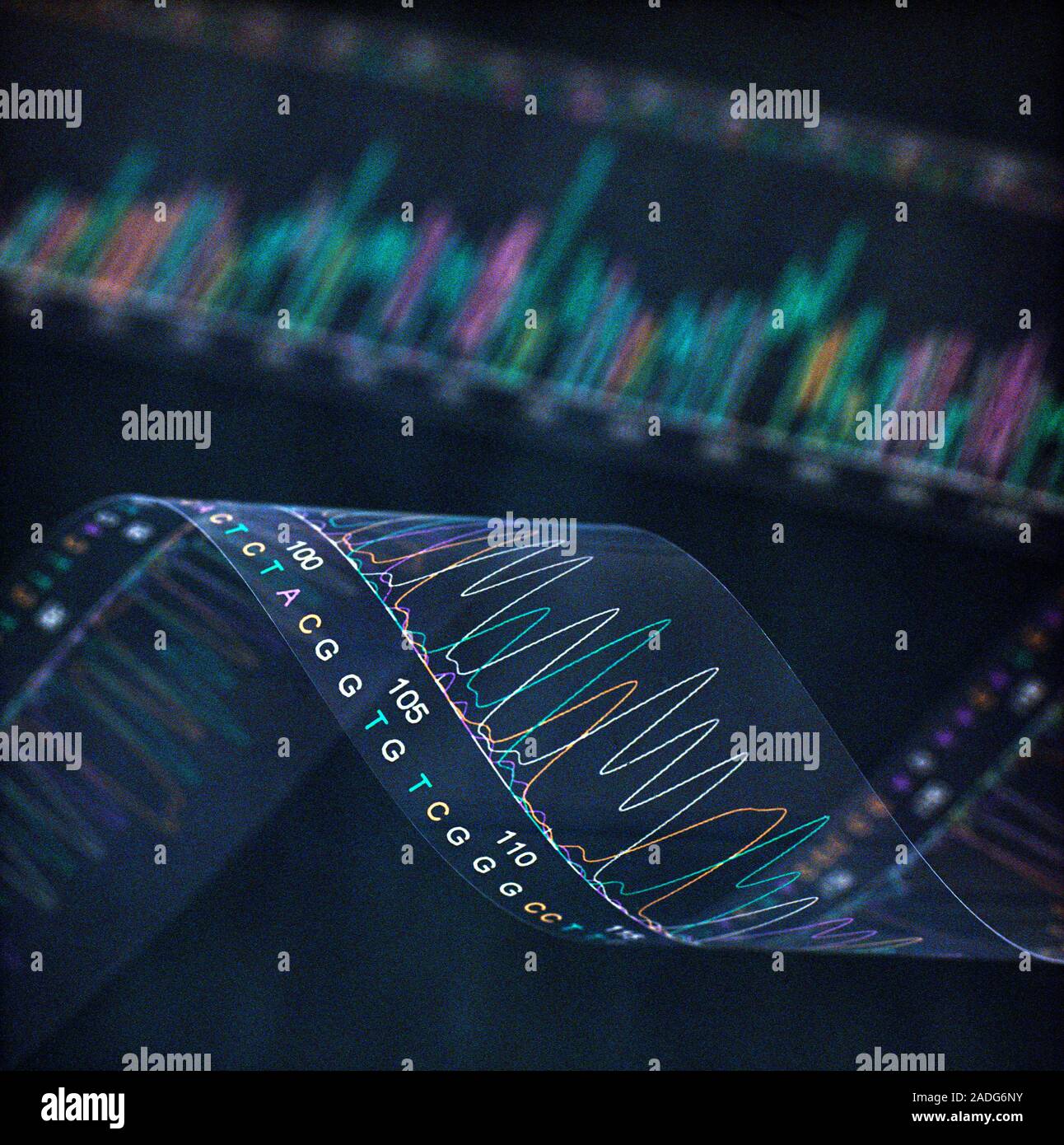 DNA analysis, negative image. Graph showing the results of DNA ...