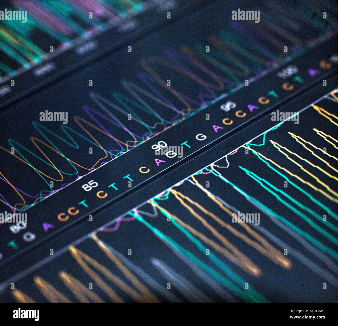 DNA analysis, negative image. Graphs showing the results of DNA ...