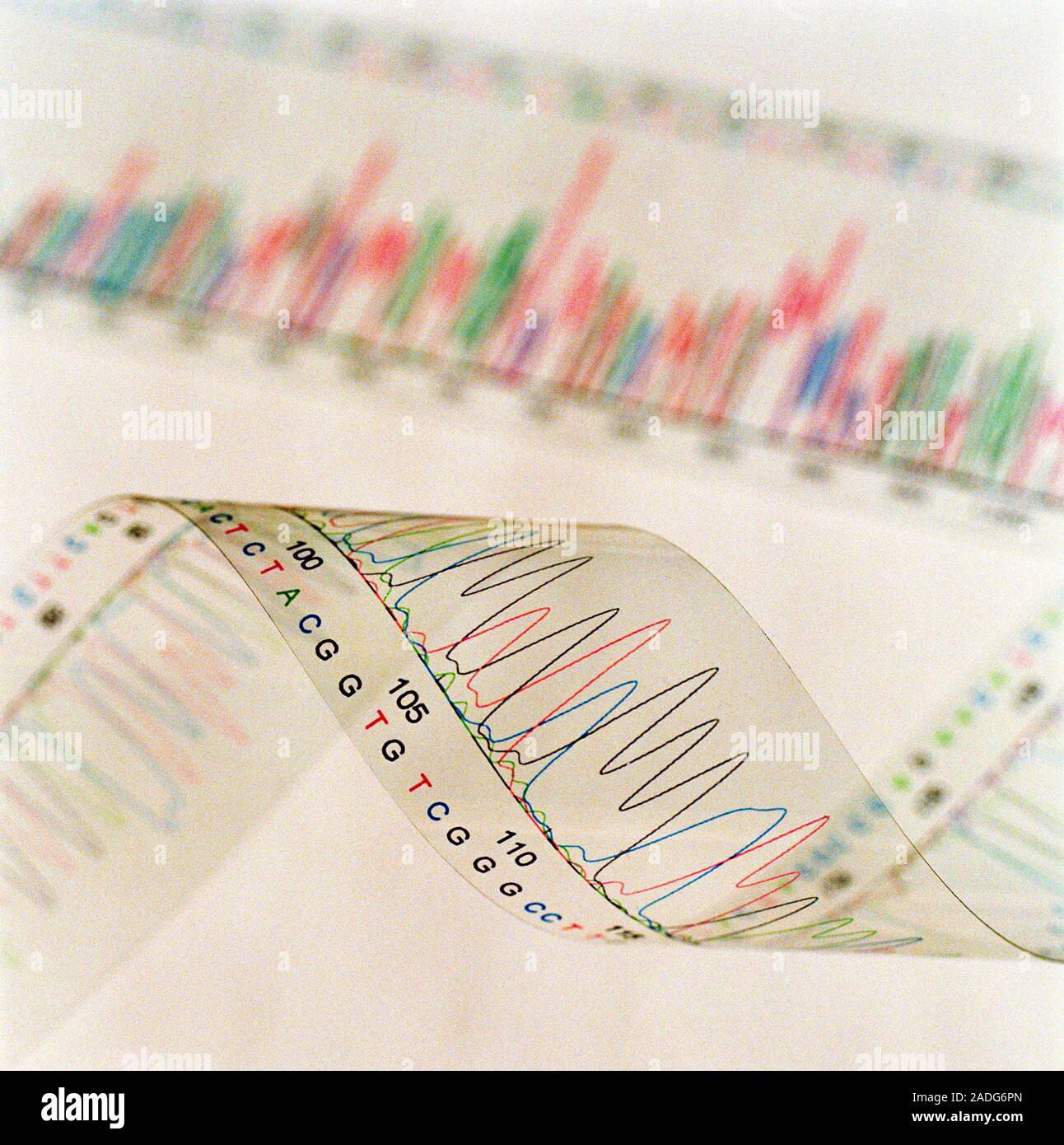 DNA analysis. Graphs showing the results of DNA (deoxyribonucleic acid ...