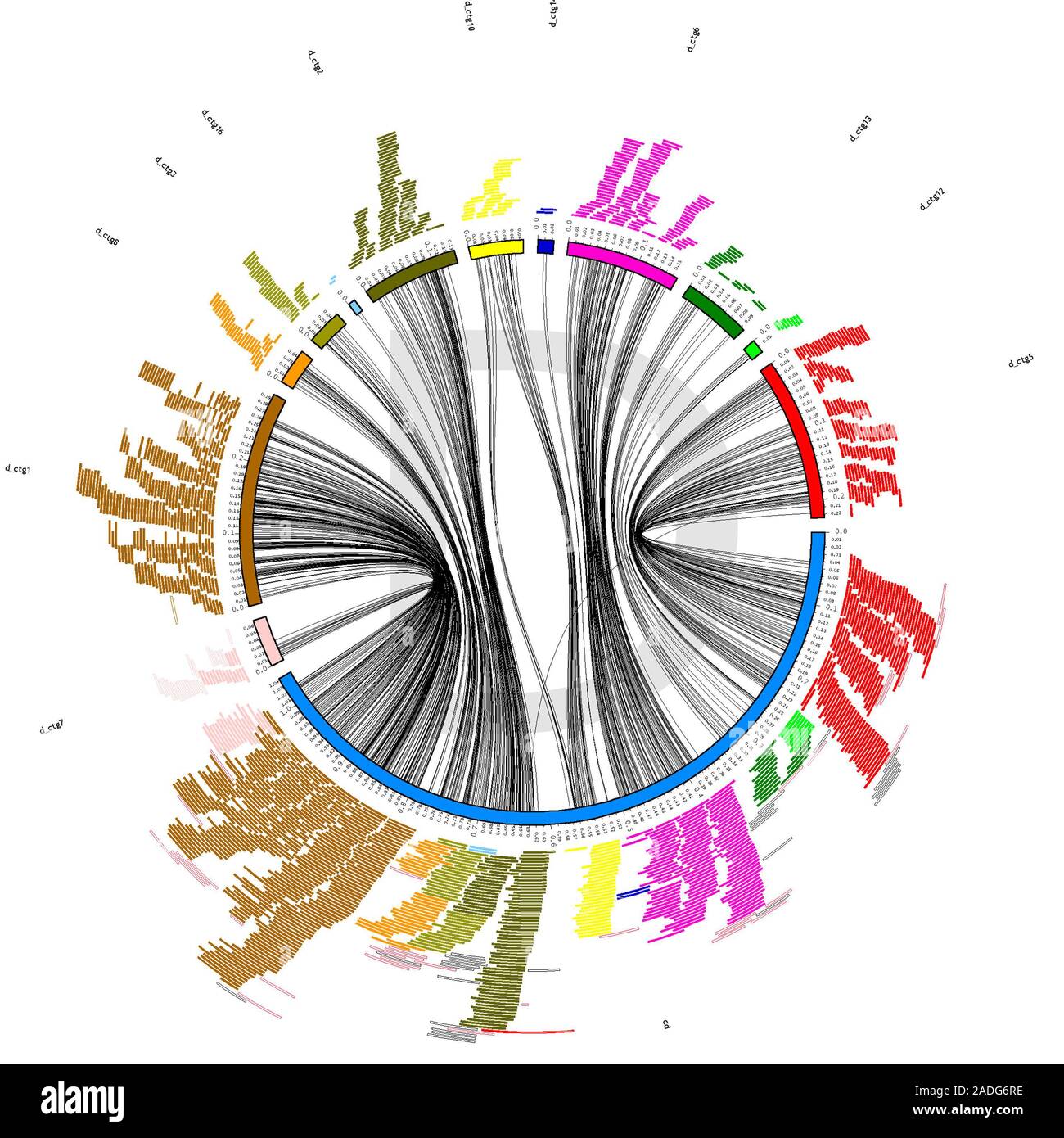 Circular genetic map. Genetic map of contigs (far left to far right of ...