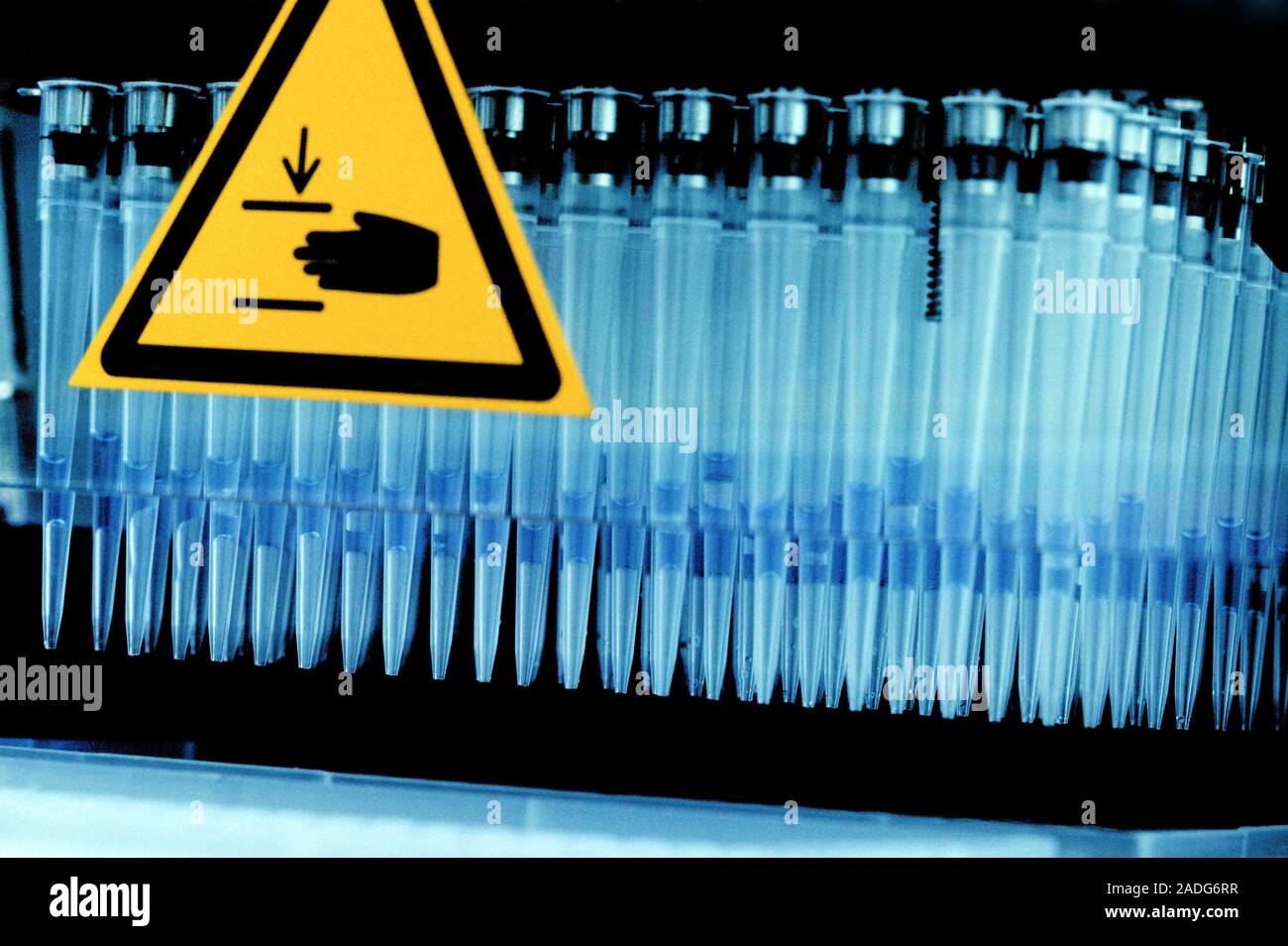 Grapevine genome sequencing. Pipettes containing DNA (deoxyribonucleic ...