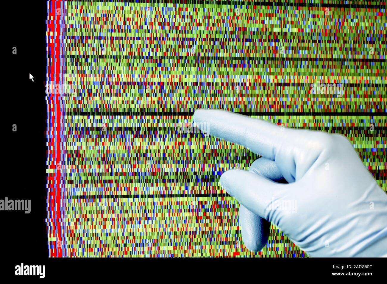 MODEL RELEASED. Grapevine genome sequencing. Data from a gel ...