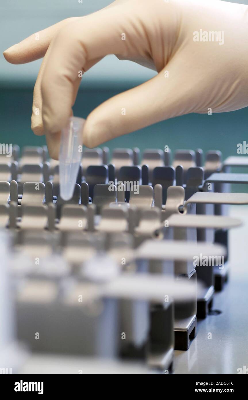 DNA analysis. Researcher placing a sample vial in the rack of a DNA ...