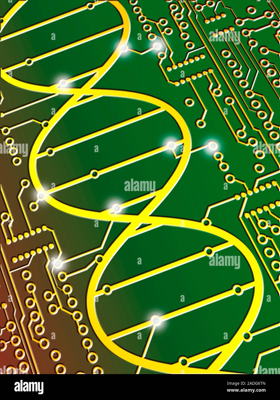 DNA circuit board. Computer artwork of a molecule of DNA ...