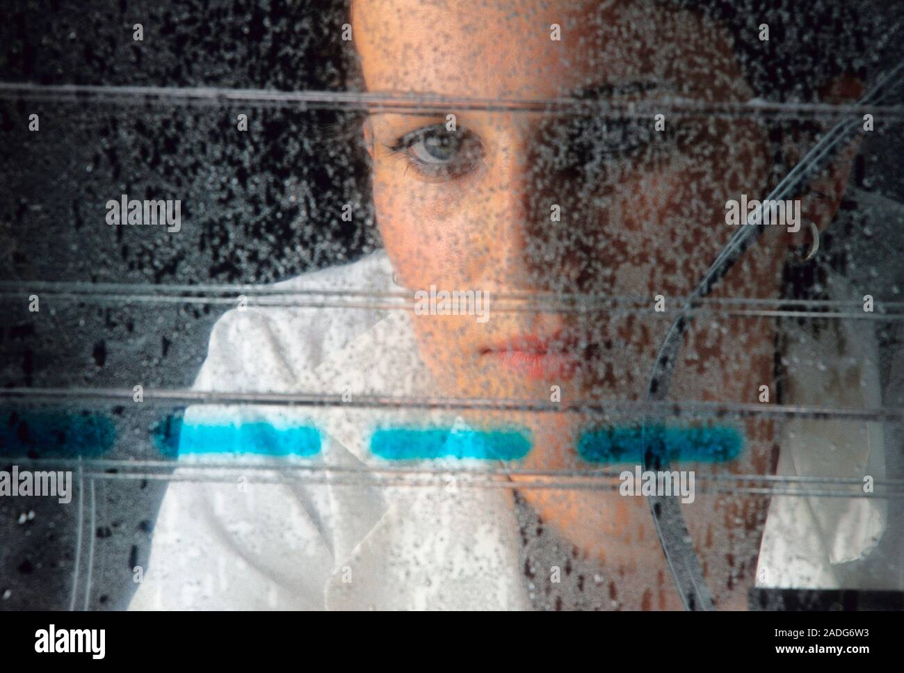 Transgenic tomato genome sequencing. Researcher watching an ...
