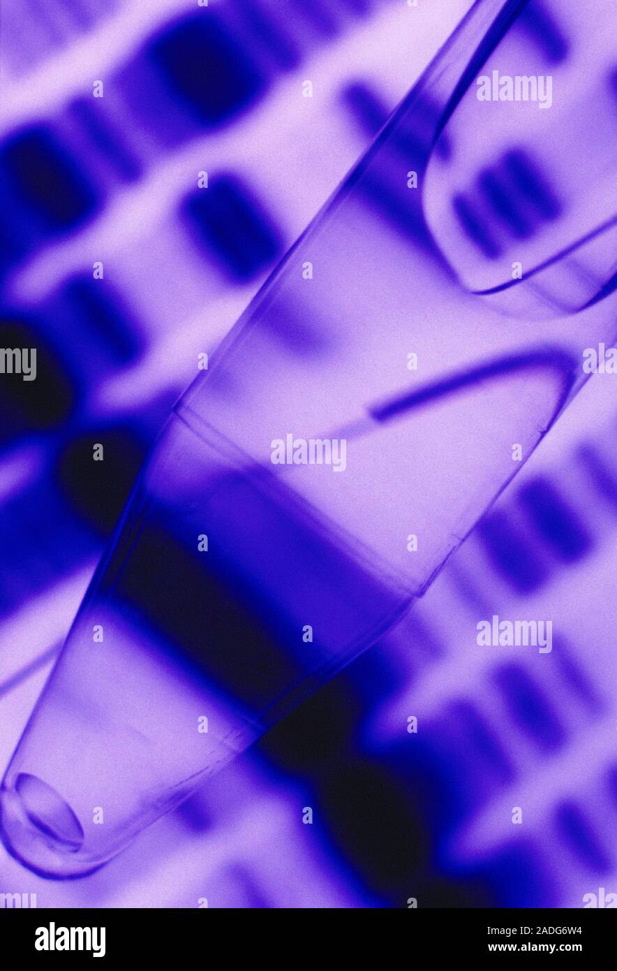 Transgenic tomato genome sequencing. Eppendorf tube containing a sample ...