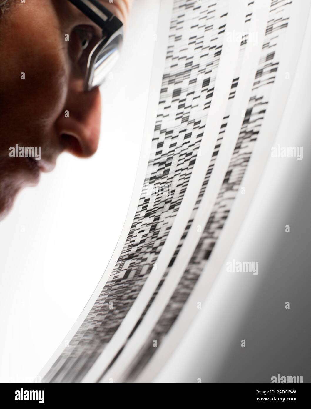 DNA analysis. Researcher studying a DNA sequence produced using gel ...