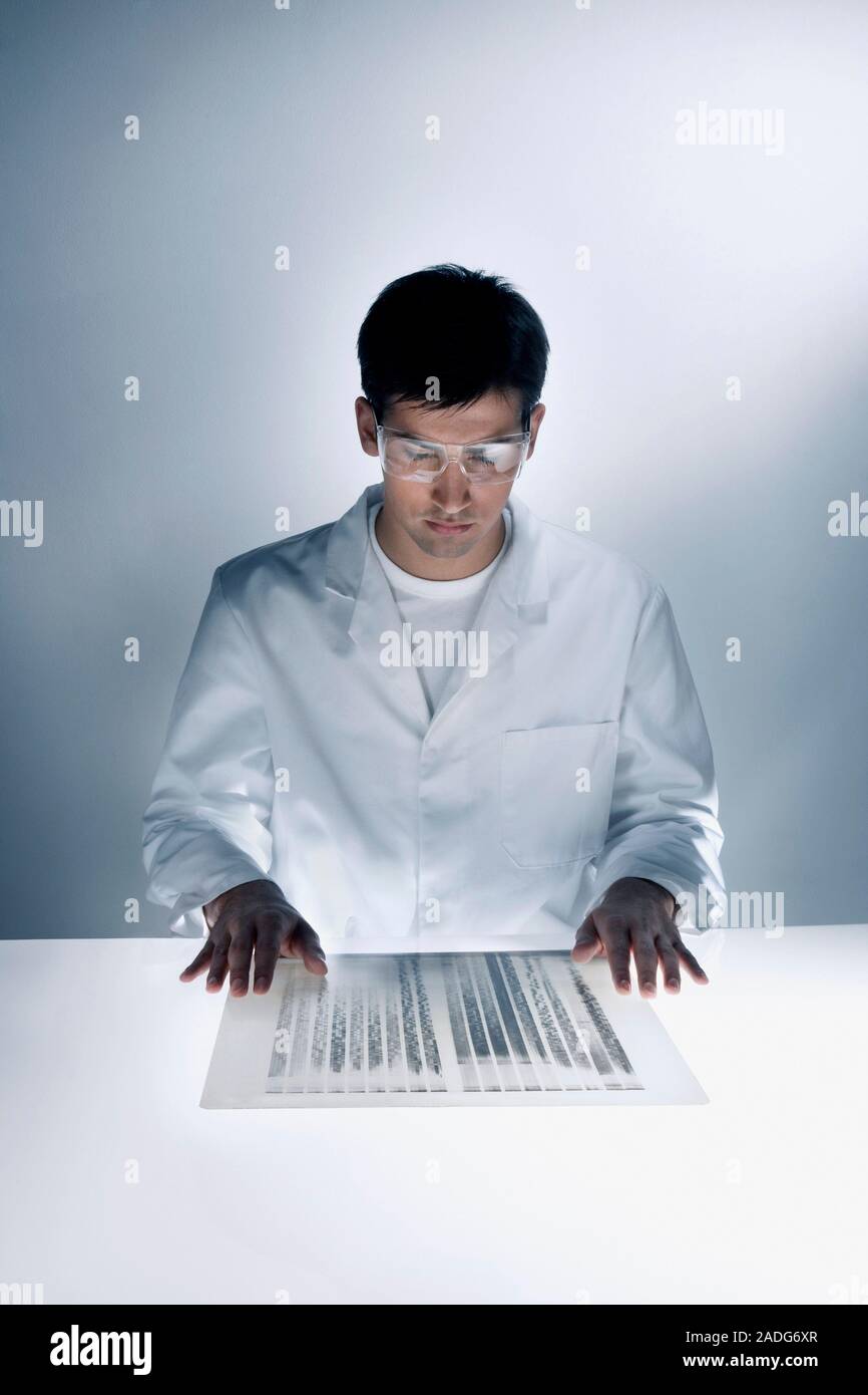 MODEL RELEASED. DNA analysis. Geneticist studying a DNA ...