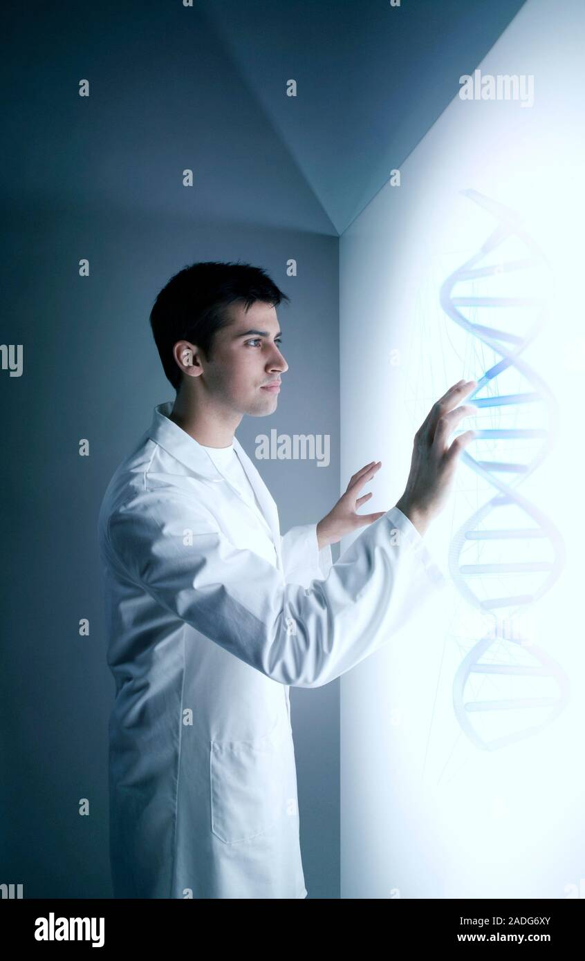 MODEL RELEASED. DNA research, composite image. Researcher examining a ...