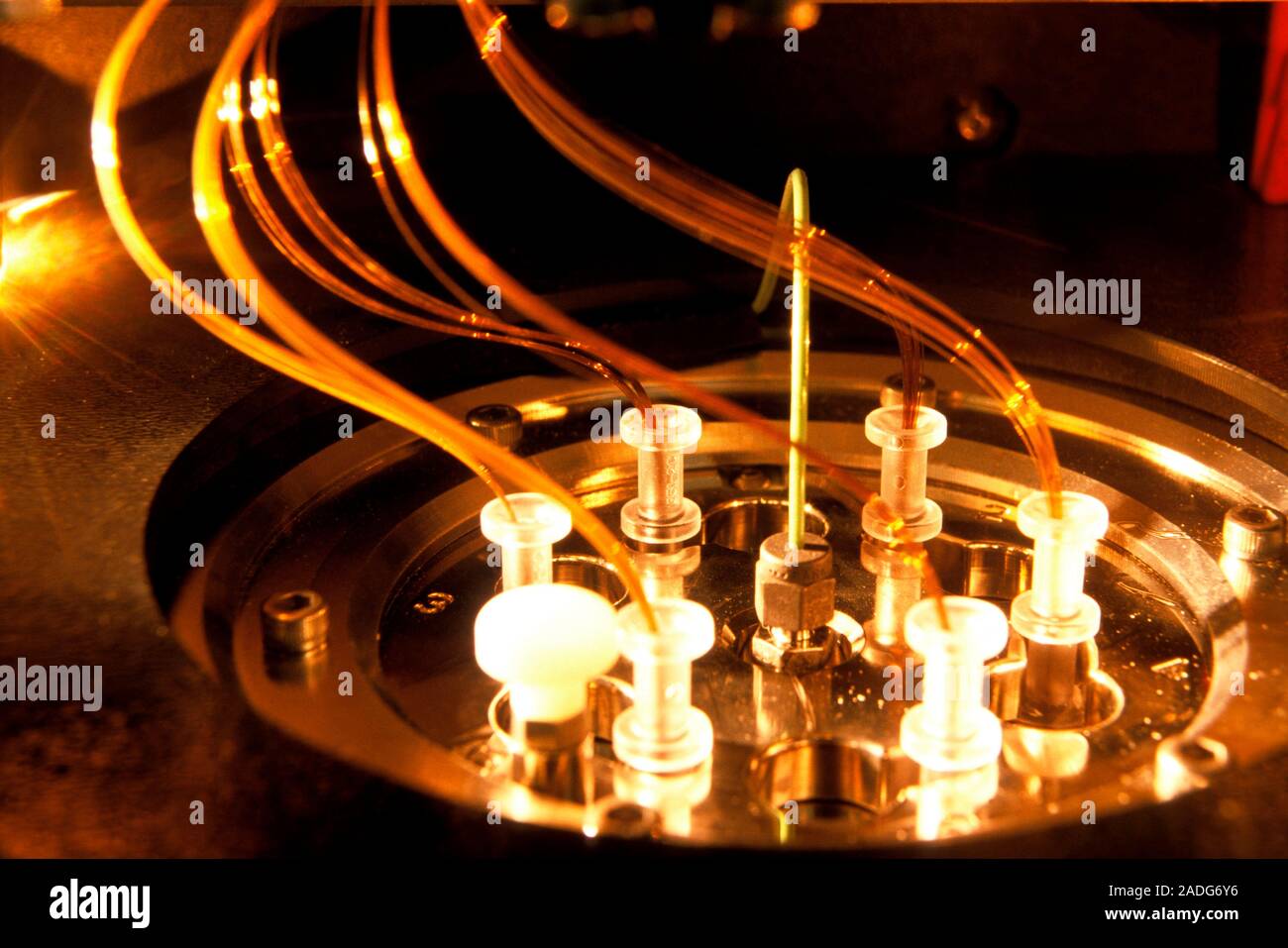 DNA sequencing in genetic research. Capillary electrophoresis (CE ...