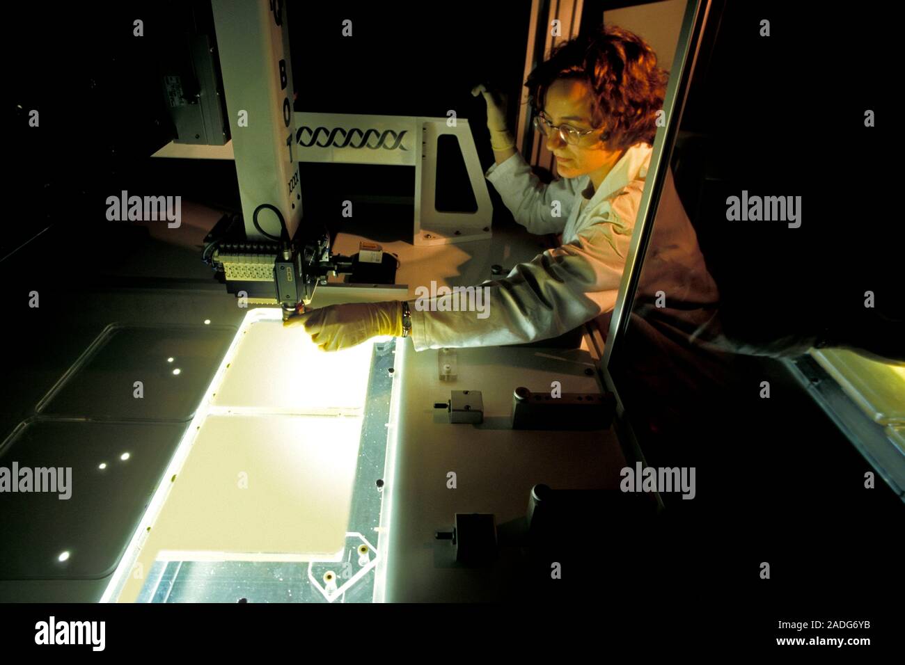 Genetic research. Researcher setting up a genetic cloning robot. The ...