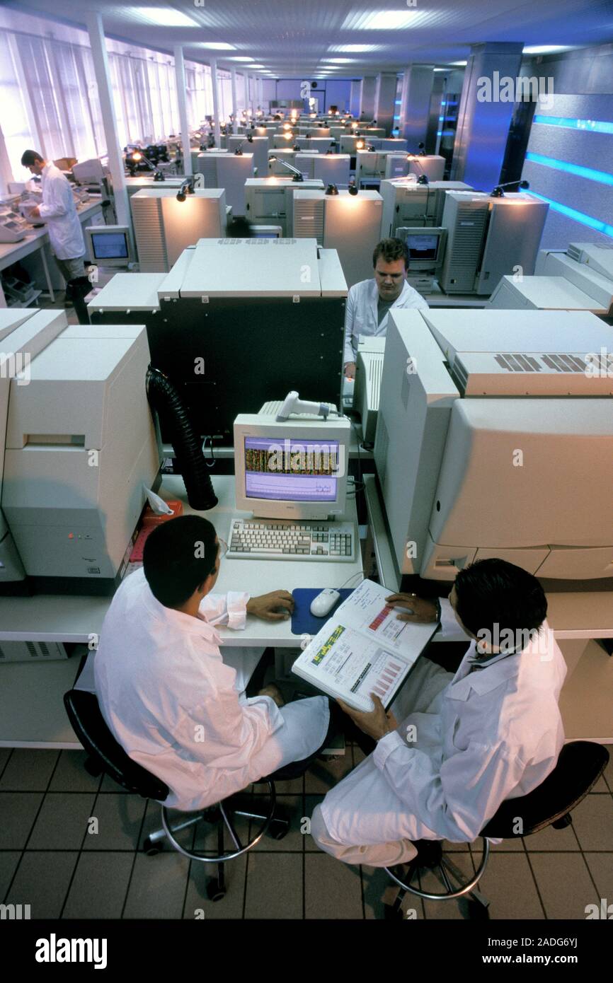 Genetic research. Researchers analysing sequenced DNA (deoxyribonucleic ...