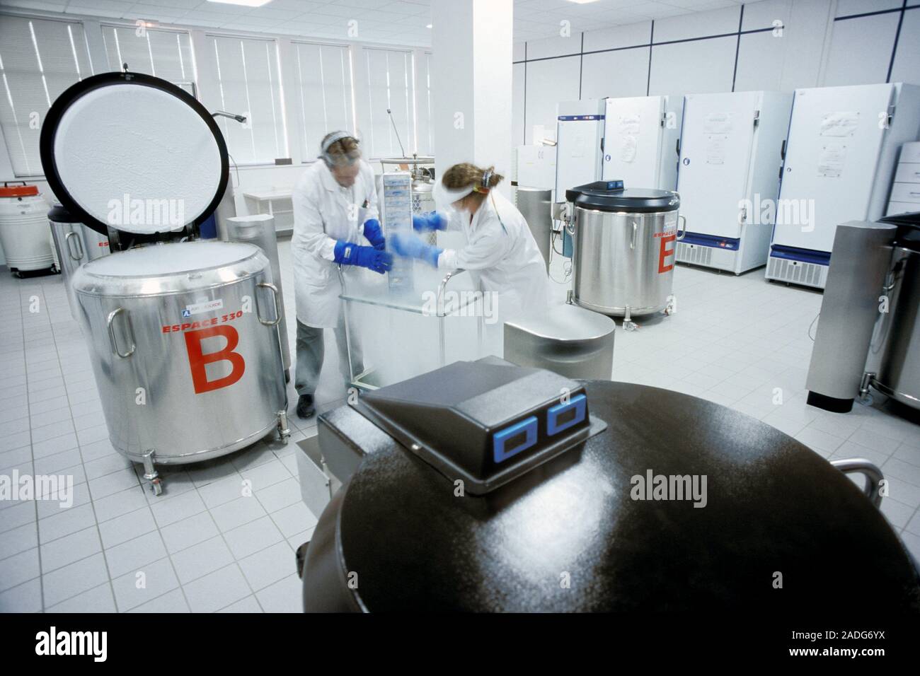 Storing genetic material. Geneticists handling genetic samples inside a ...