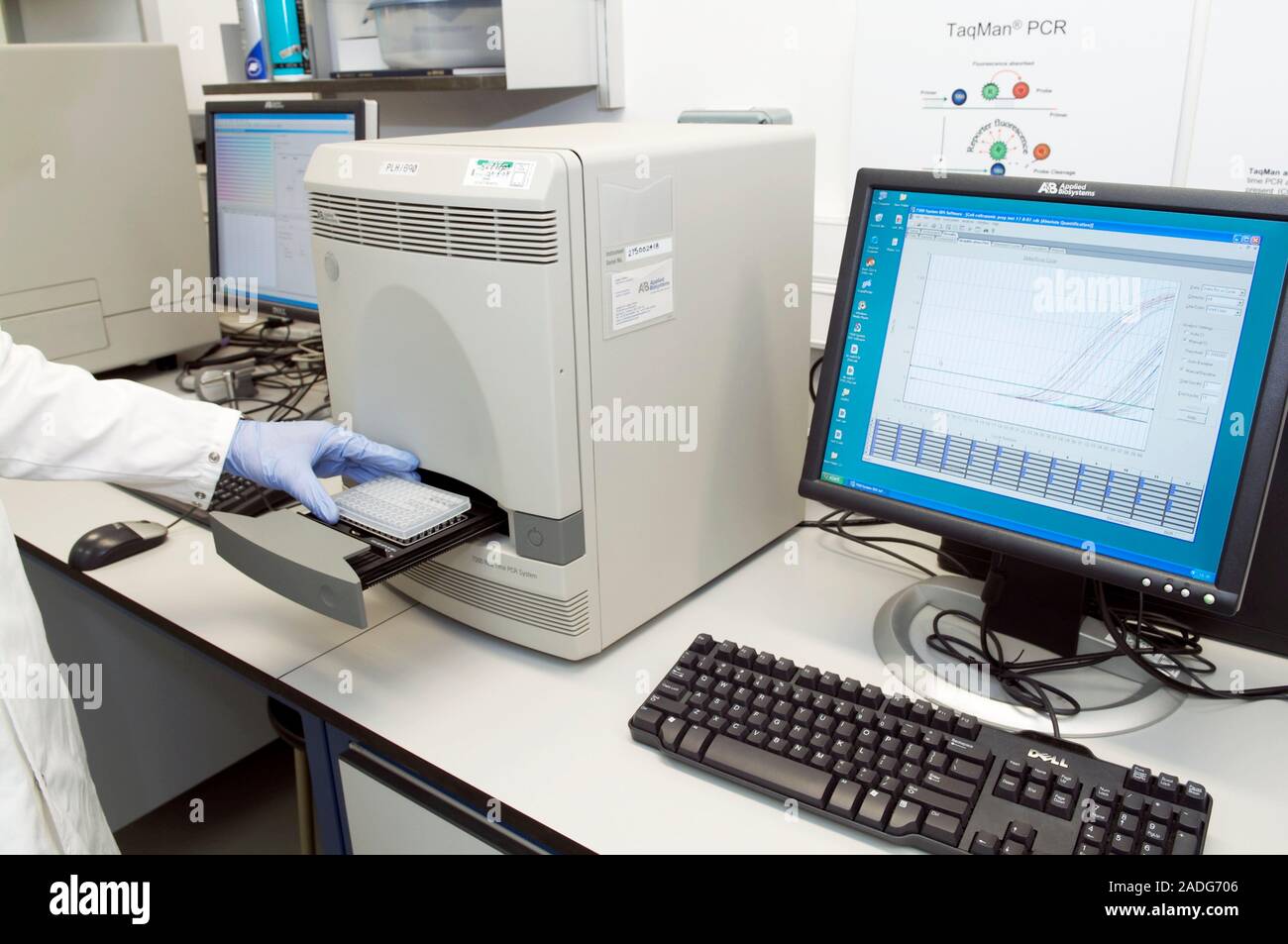 Genetic analysis. Researcher placing a tray of genetic samples inside a ...