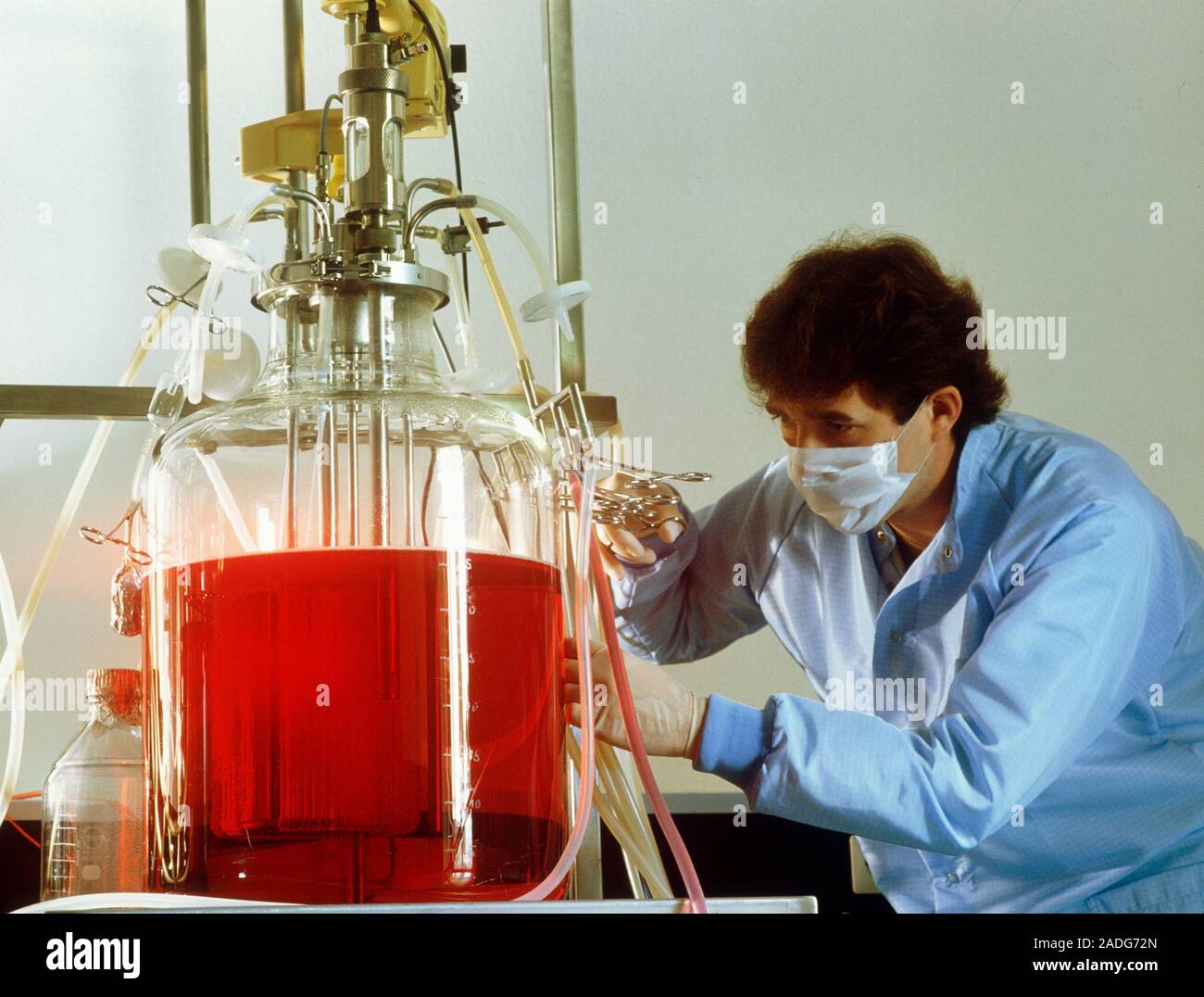 Fermentation unit. Biotechnician with a fermentation unit (bioreactor ...