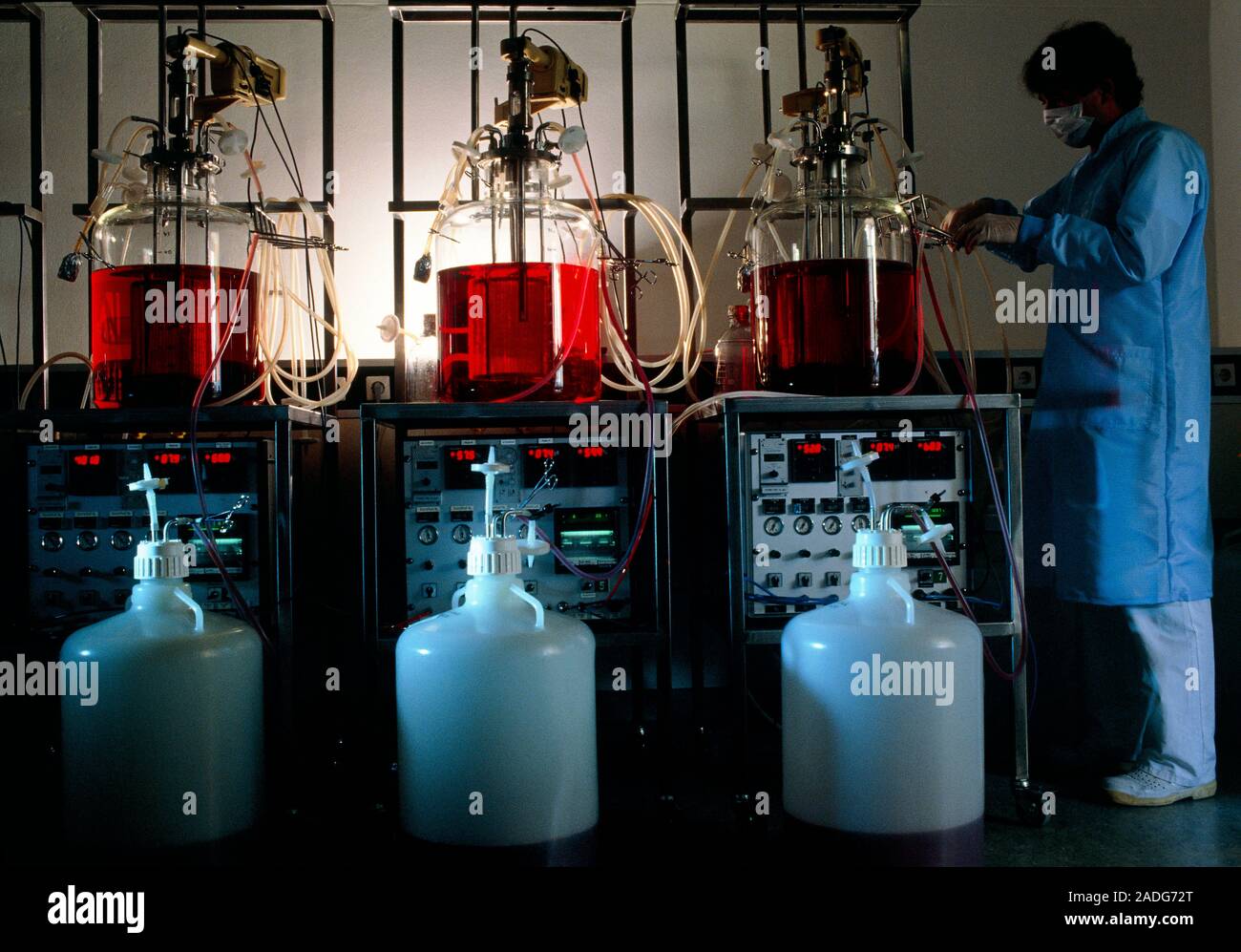 Fermentation unit. Technician working at a fermentation unit, or ...