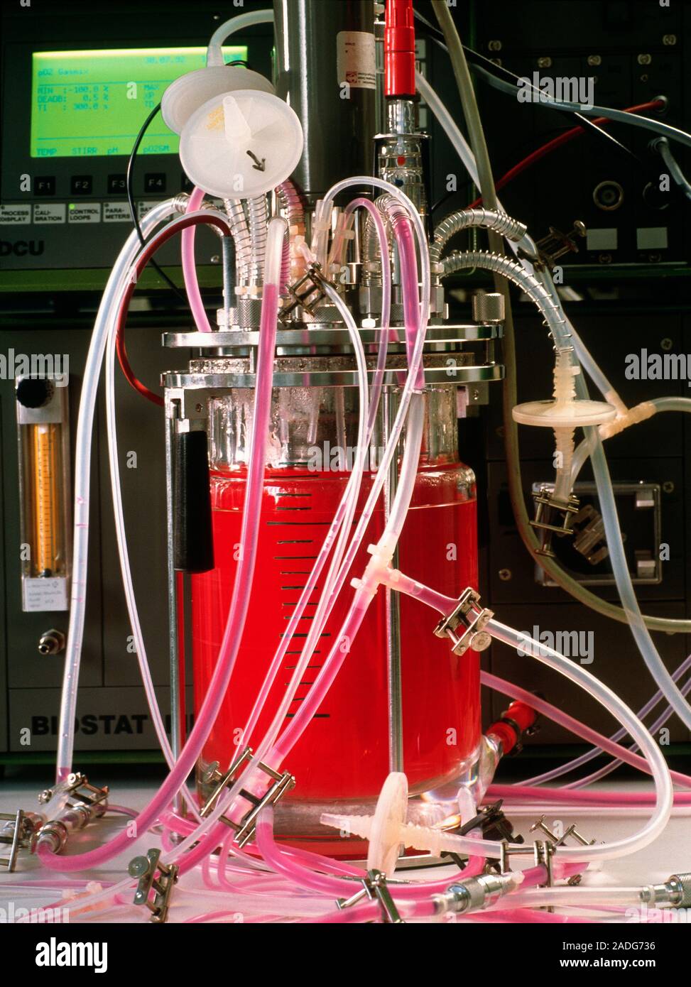 Fermentation unit (bioreactor) containing microbes that have been ...
