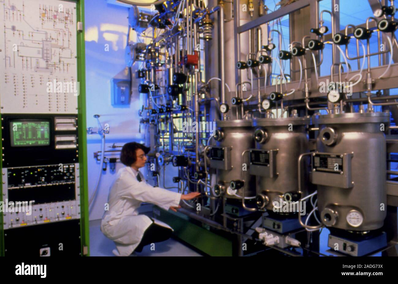 Process engineer monitors production-scale bioreactors containing ...