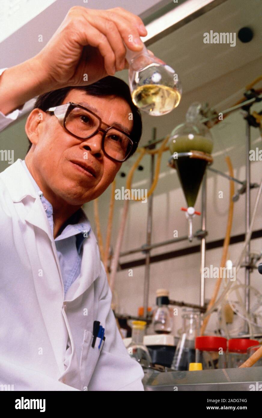 Squalamine drug synthesis in the laboratory. A pharmaceutical chemist ...