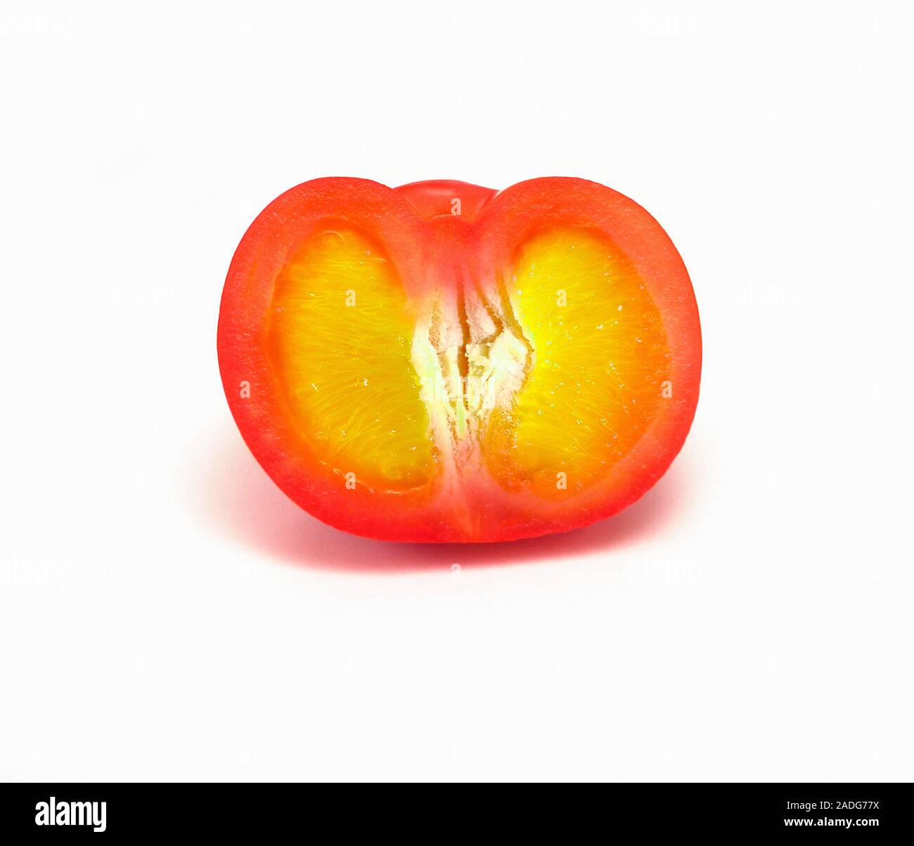Genetically engineered fruit. Conceptual computer illustration of a ...