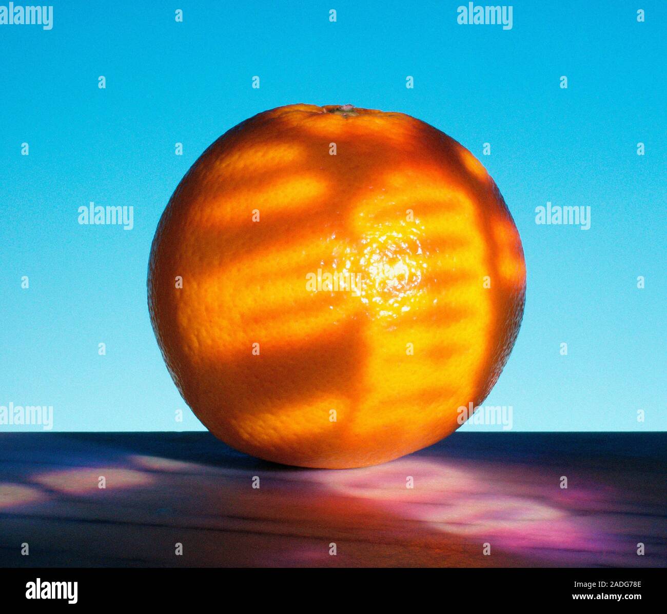 Genetically modified orange, conceptual computer artwork. Orange ...