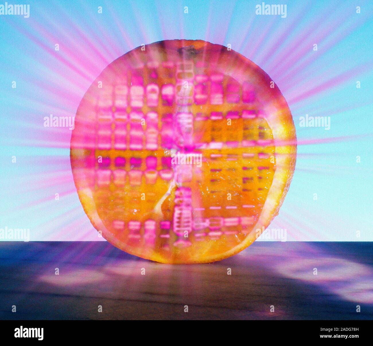 Genetically modified orange, conceptual computer artwork. Sliced orange ...