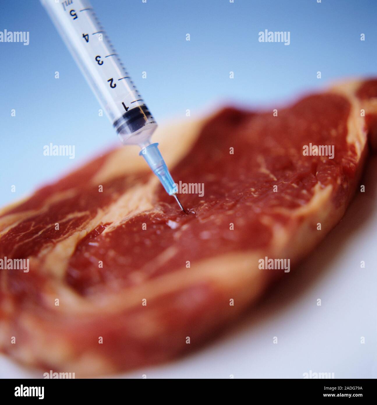 Genetically modified beef steak. Conceptual image of a beef steak being ...
