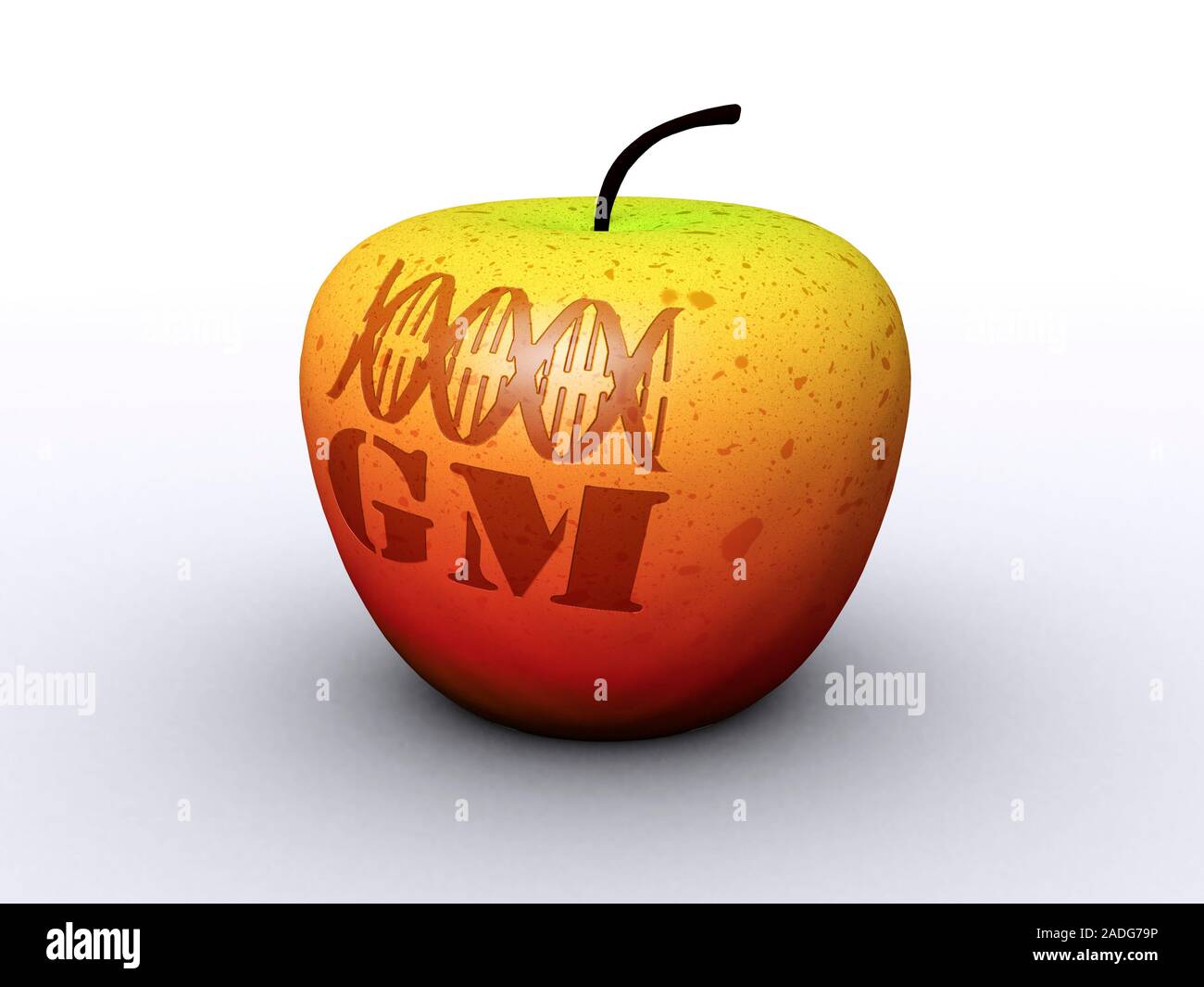Genetically modified apple. Computer artwork of an apple with a symbol ...