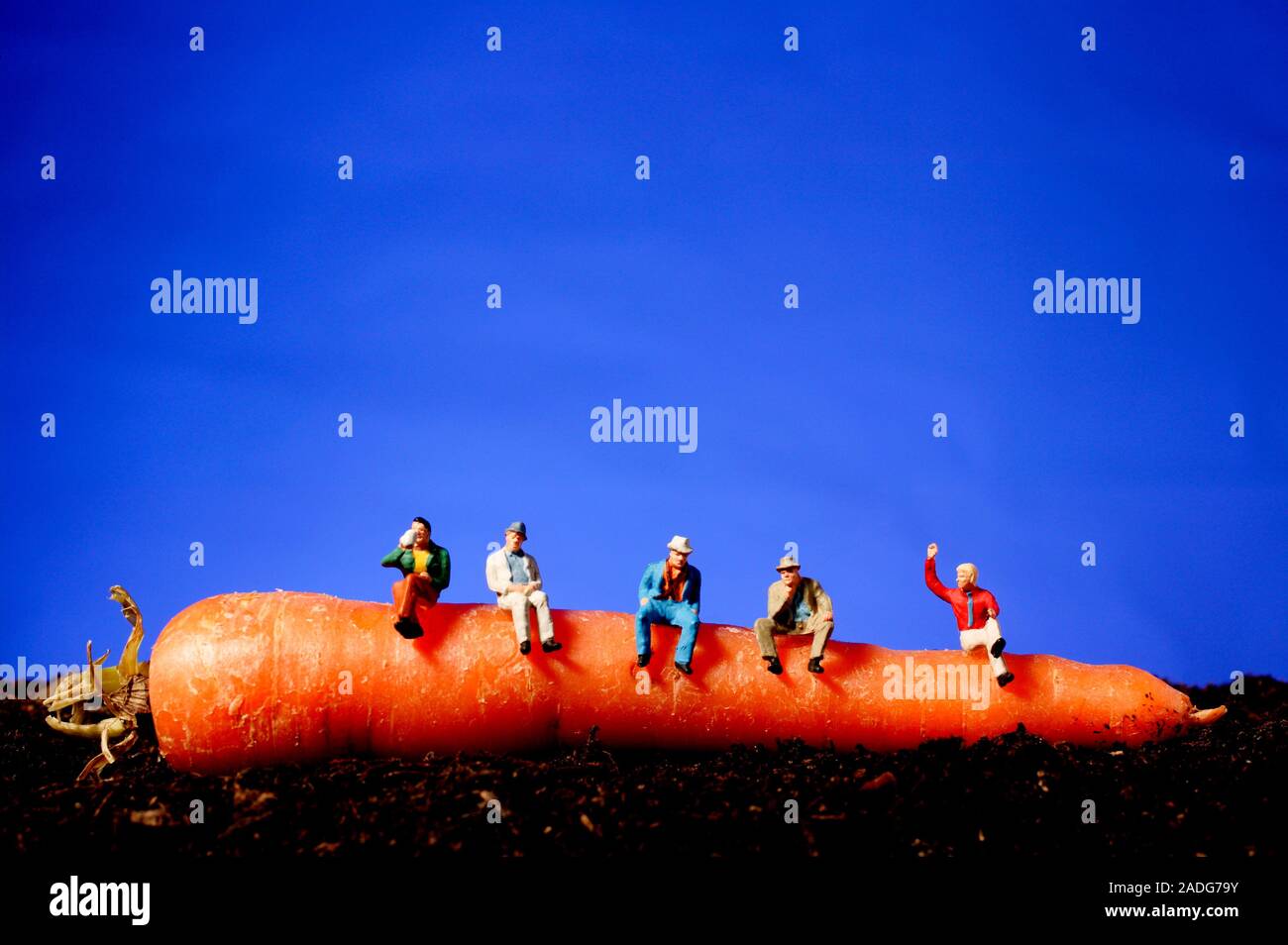 Genetically modified carrot. Conceptual image of plastic figures ...