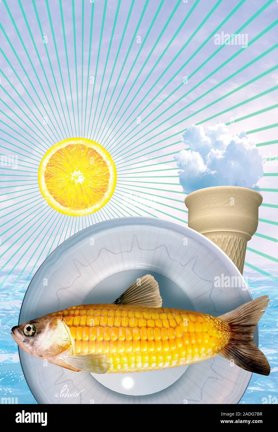 Genetically modified food, conceptual computer artwork. Genetic ...