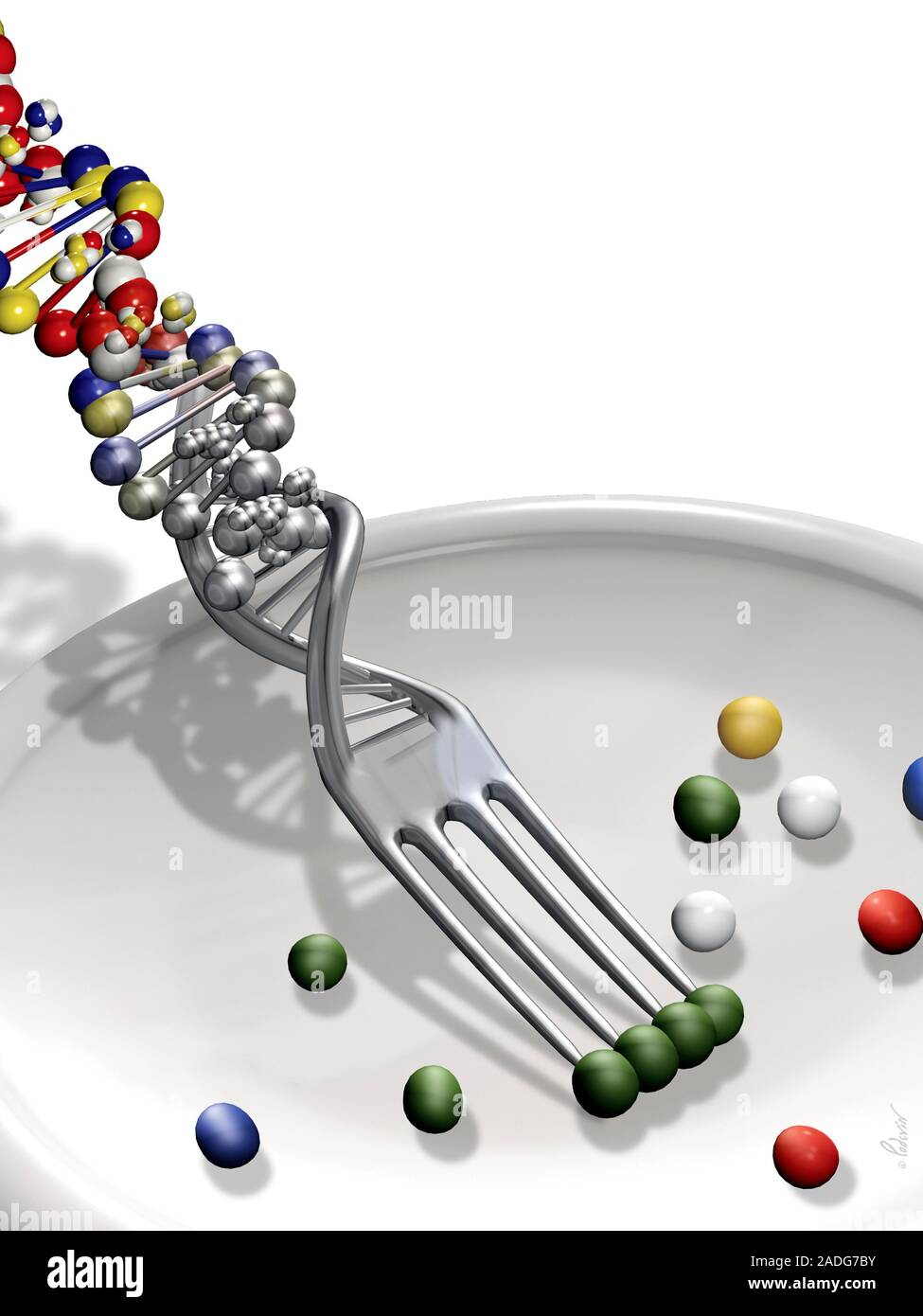 Genetically modified food, conceptual computer artwork. Genetic ...