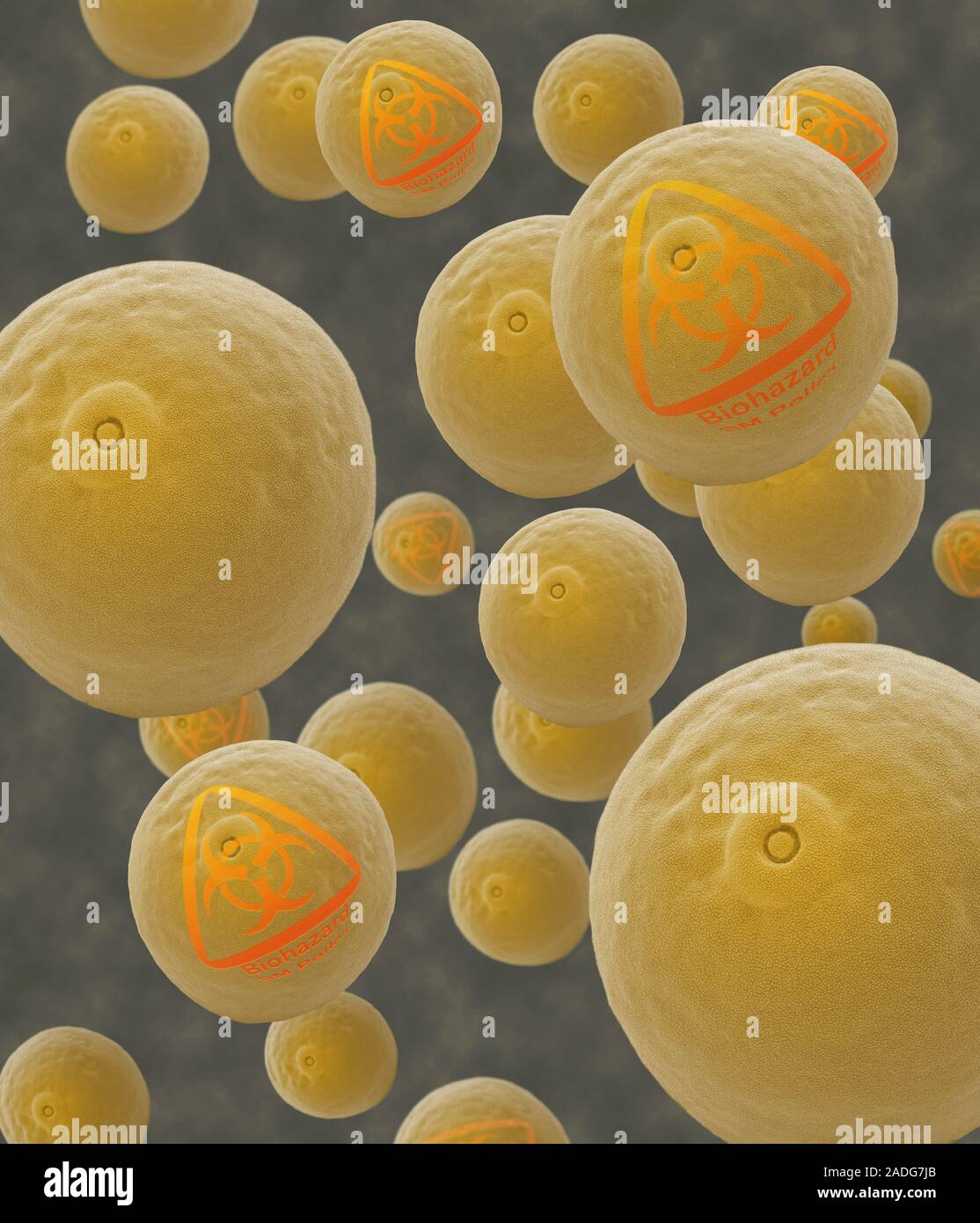 Genetically-modified pollen. Conceptual composite image of a coloured ...
