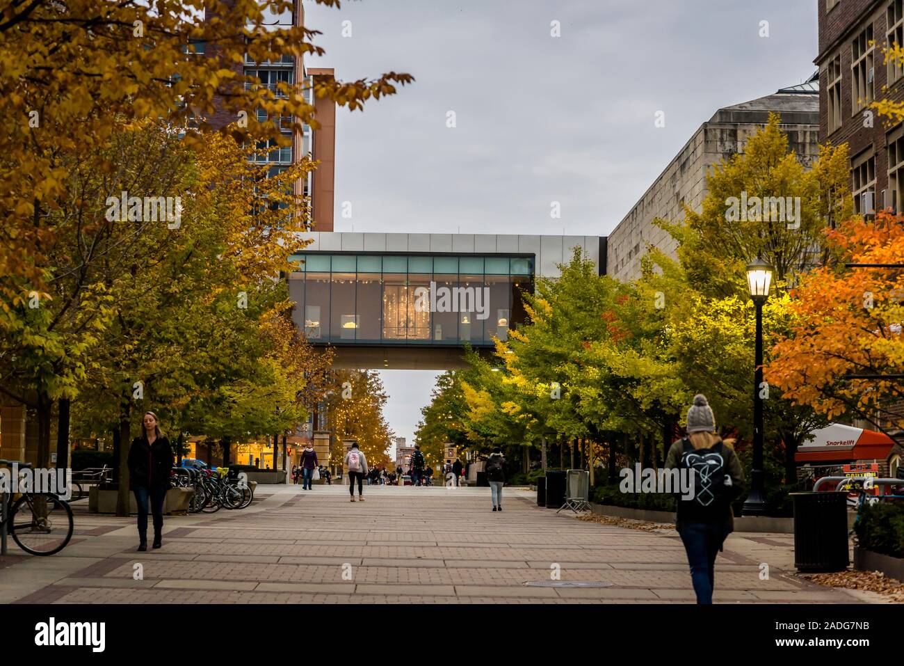 Chazen Museum of Art bridge between two buildings, University of ...