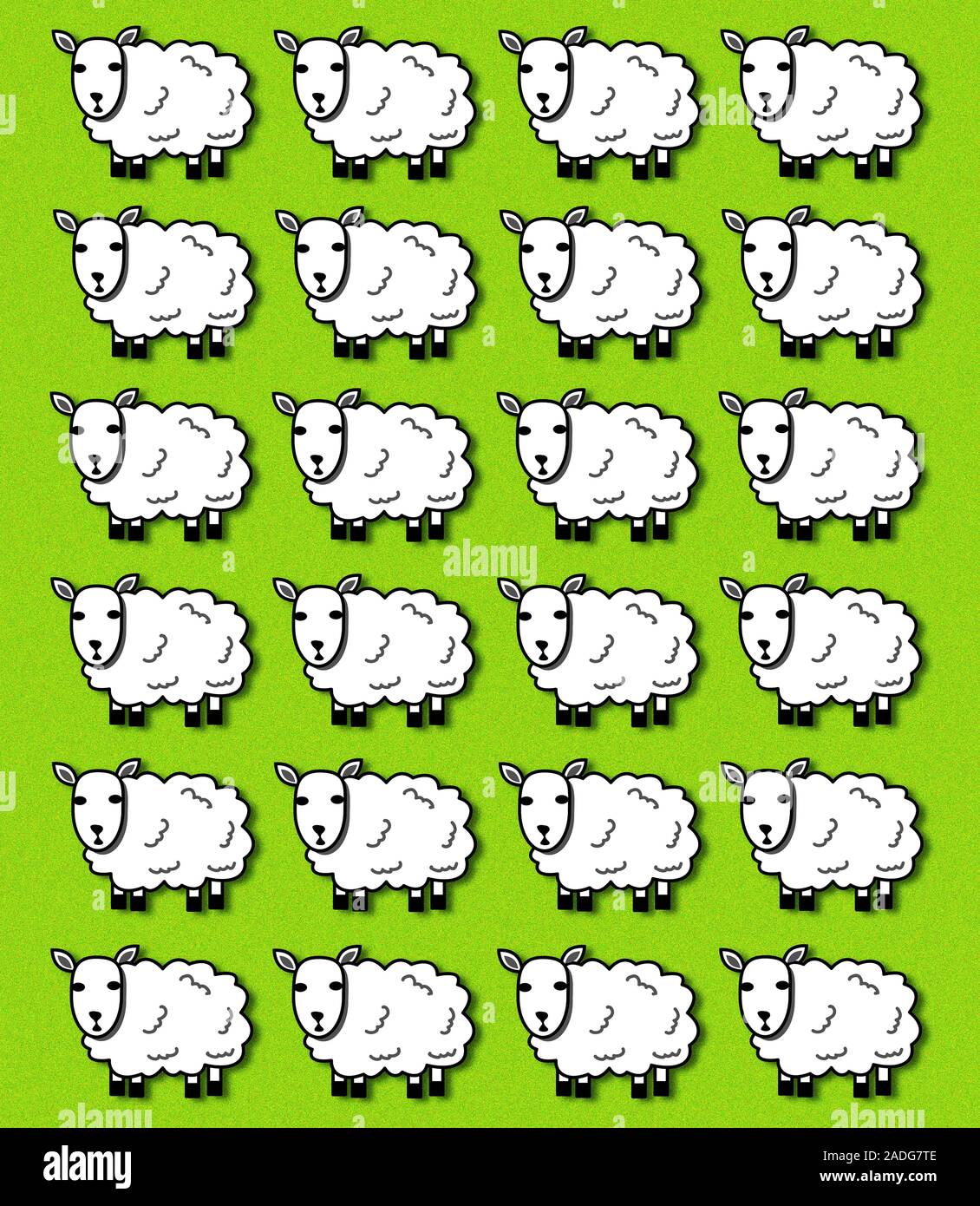 Cloned sheep, computer artwork. A clone is a genetically identical copy ... Cloned sheep, computer artwork. A clone is a genetically identical copy ...
