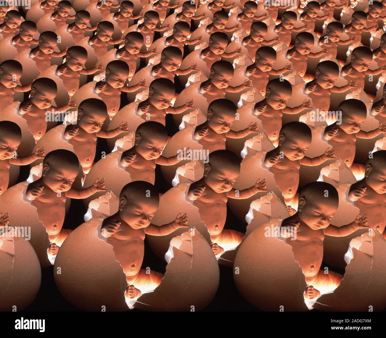 Human cloning. Conceptual computer illustration of human cloning ...