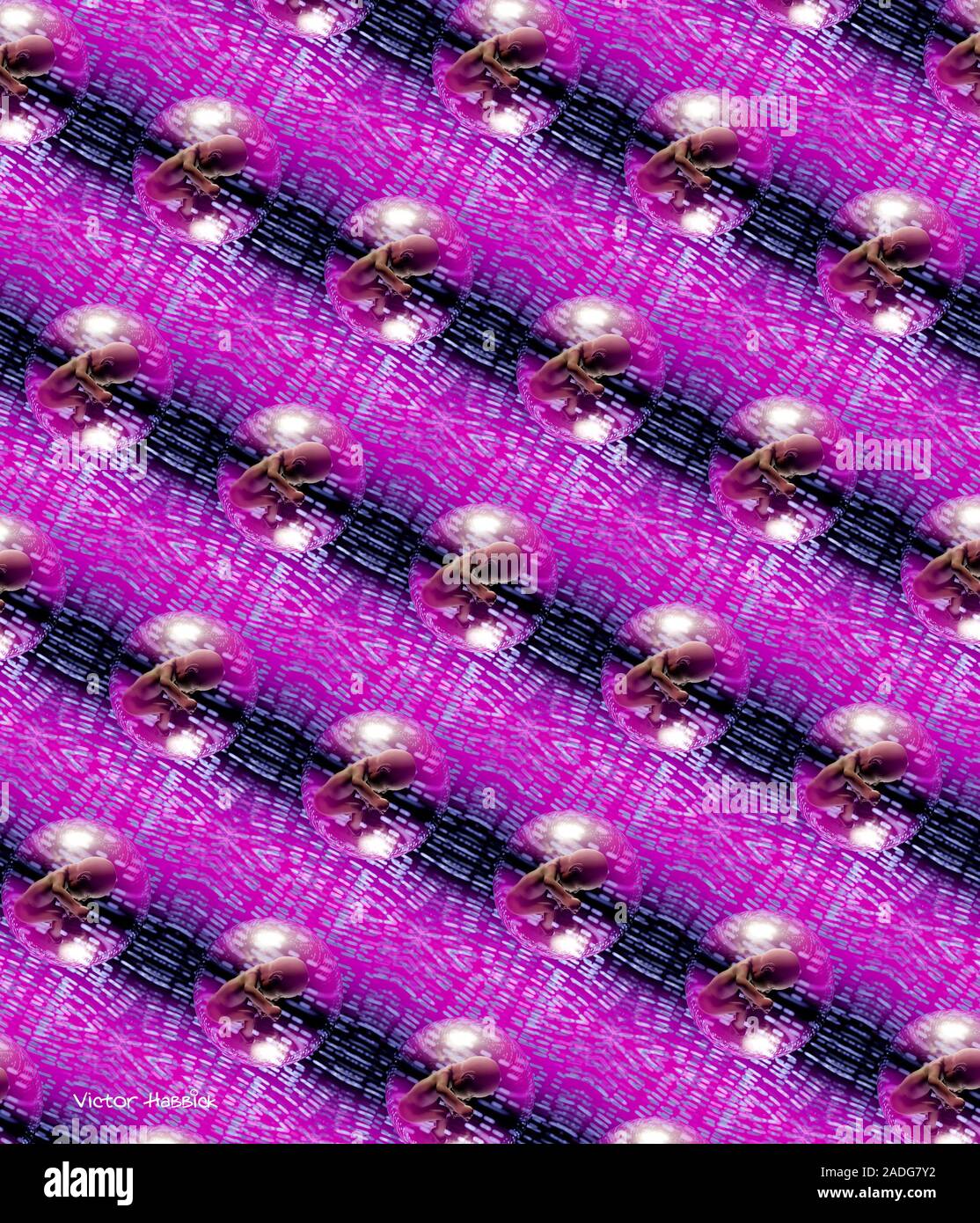 Baby cloning. Conceptual computer artwork of babies developing in ...