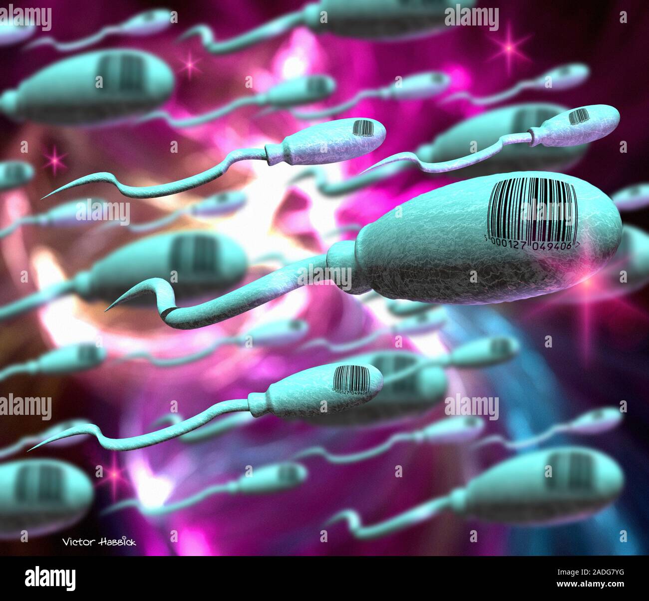 Human genetic engineering. Conceptual computer artwork representing the ...